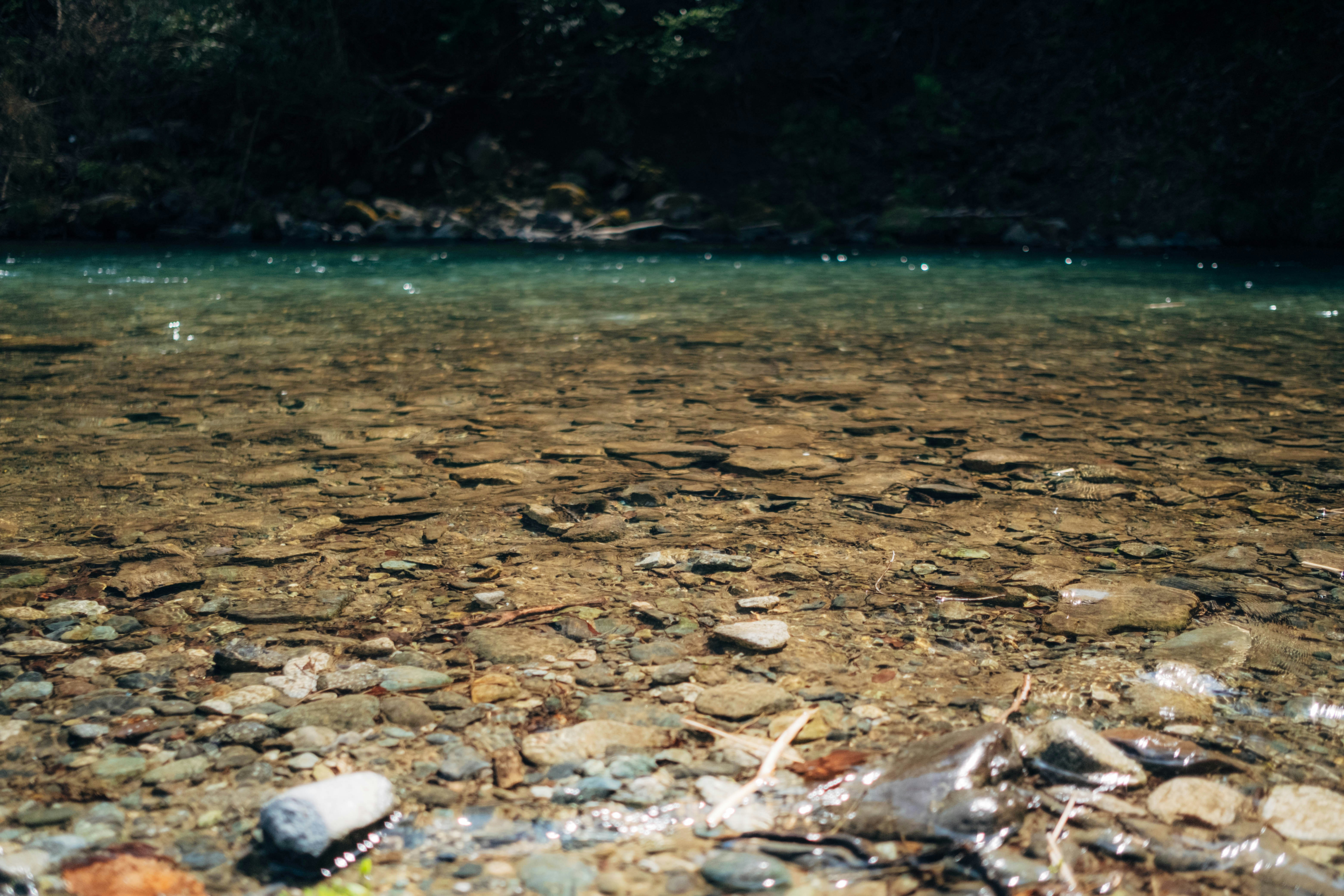 a rocky beach with a body of water in the background