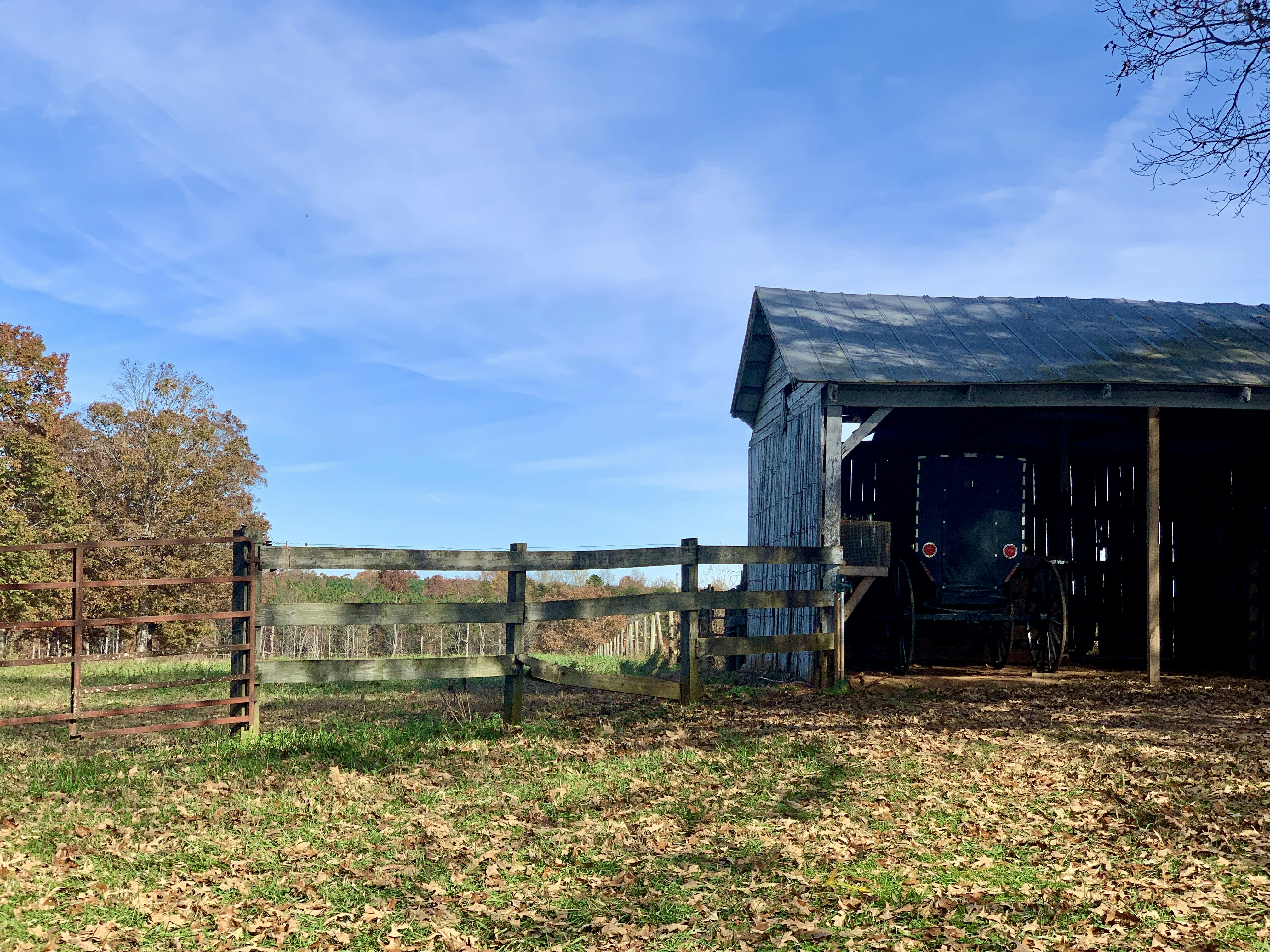 Weathered Barnyard Geometry: Fence Lines, Open Shed, and a Pale Wagon