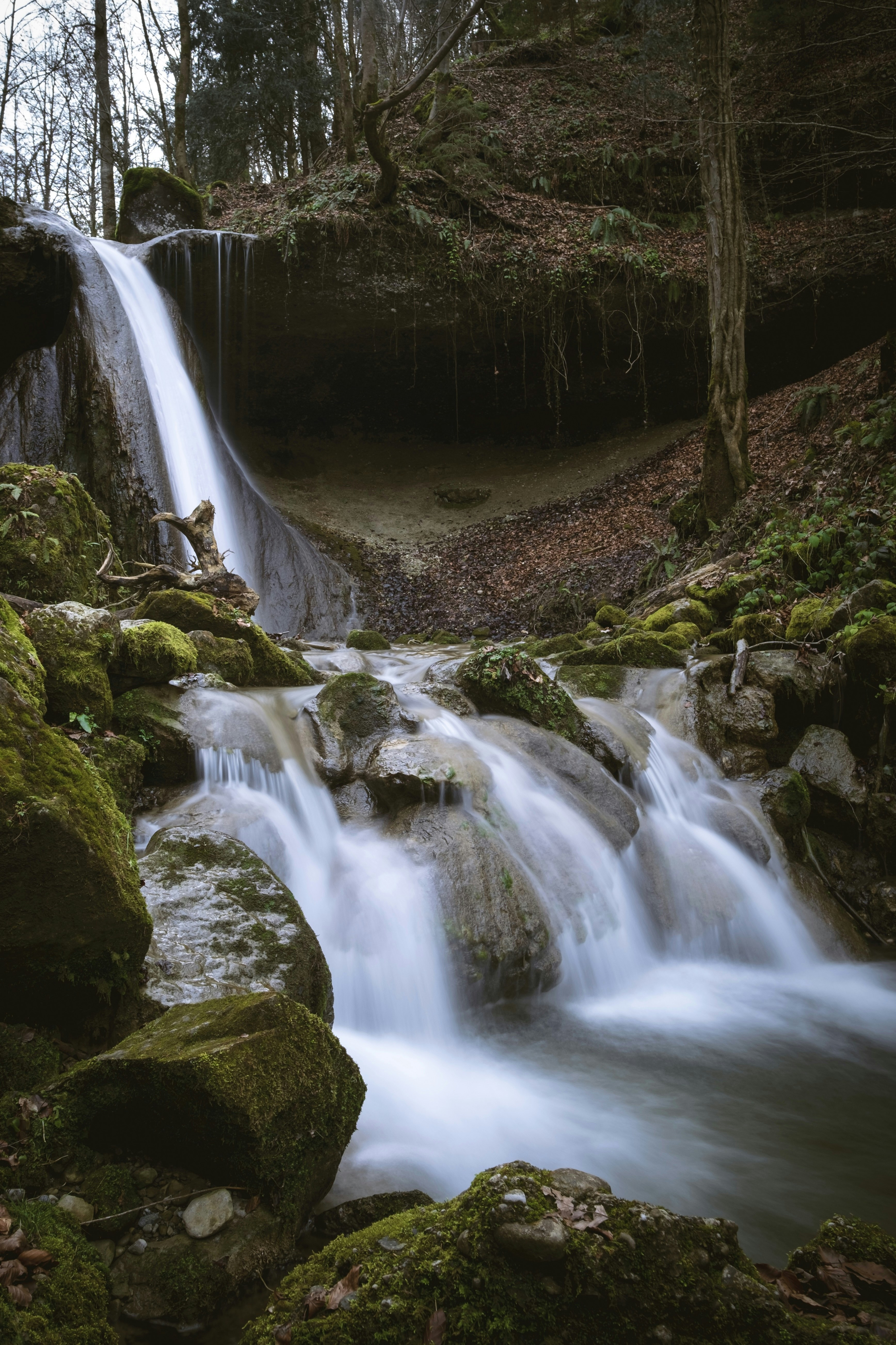 A waterfall in a forest photo – Free Water Image on Unsplash