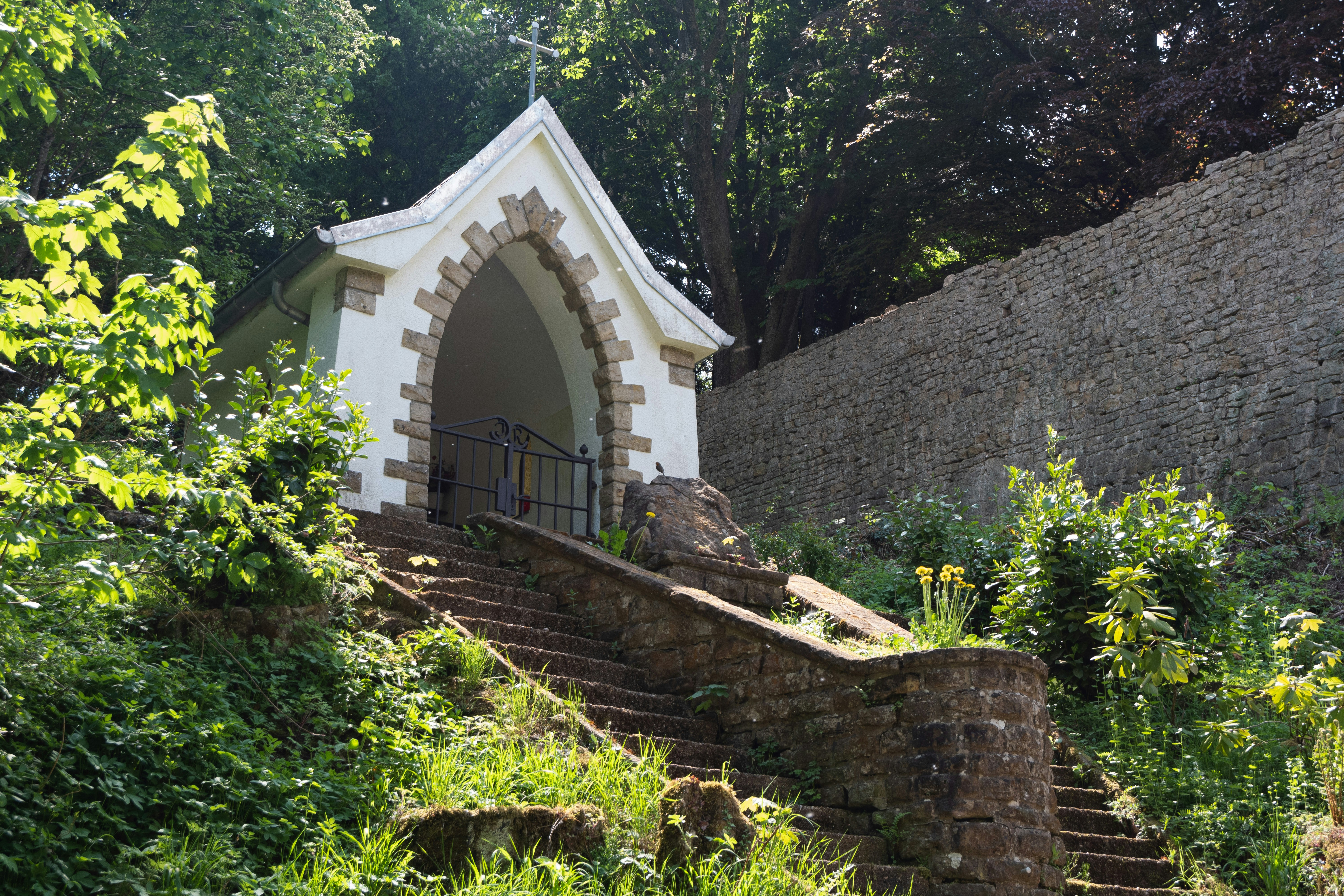 Sunlit Archway Framed by Mossy Garden Steps