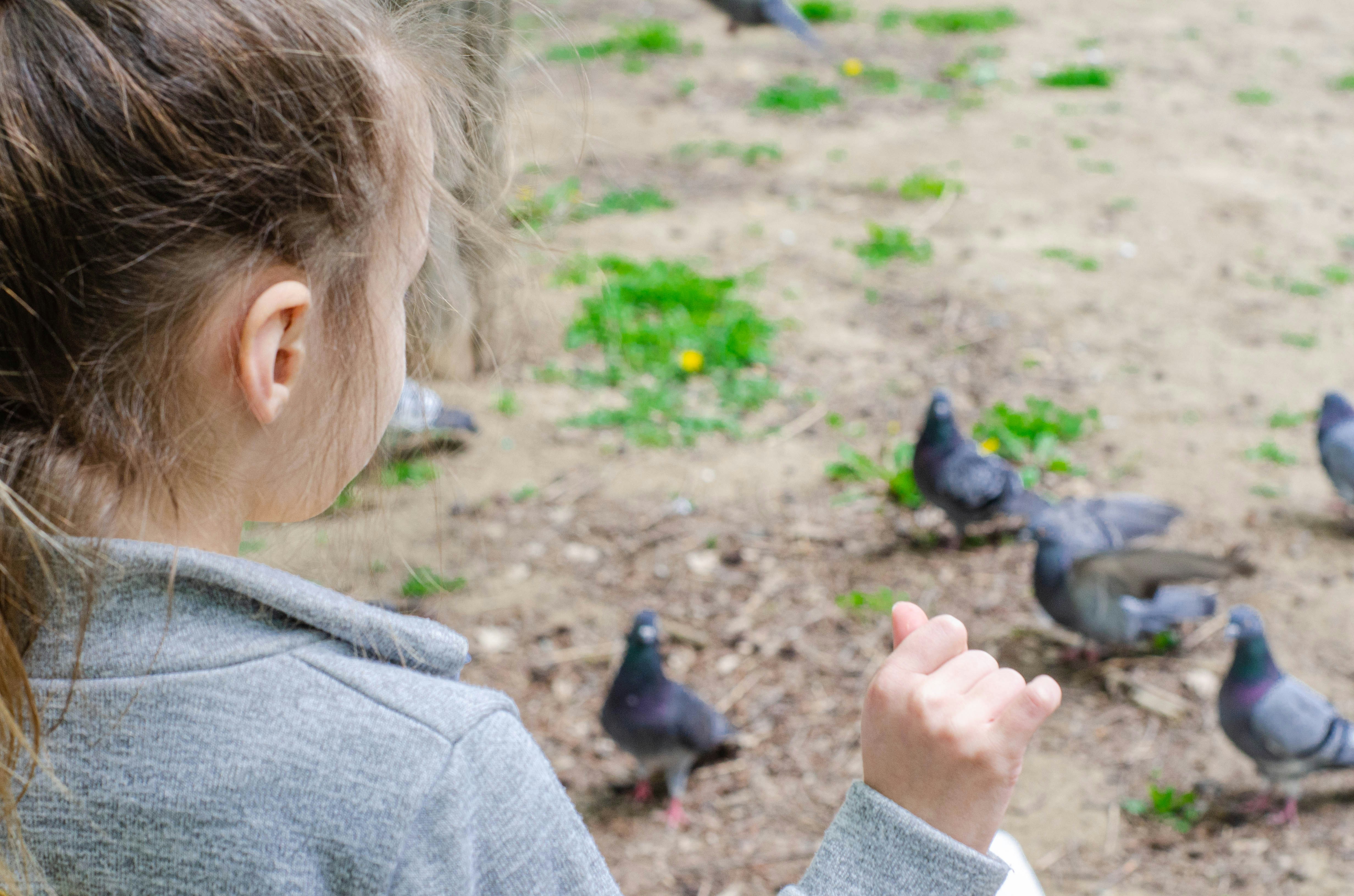 Crumbs and Curiosity: A Child Reaches Toward Pigeons in a Park