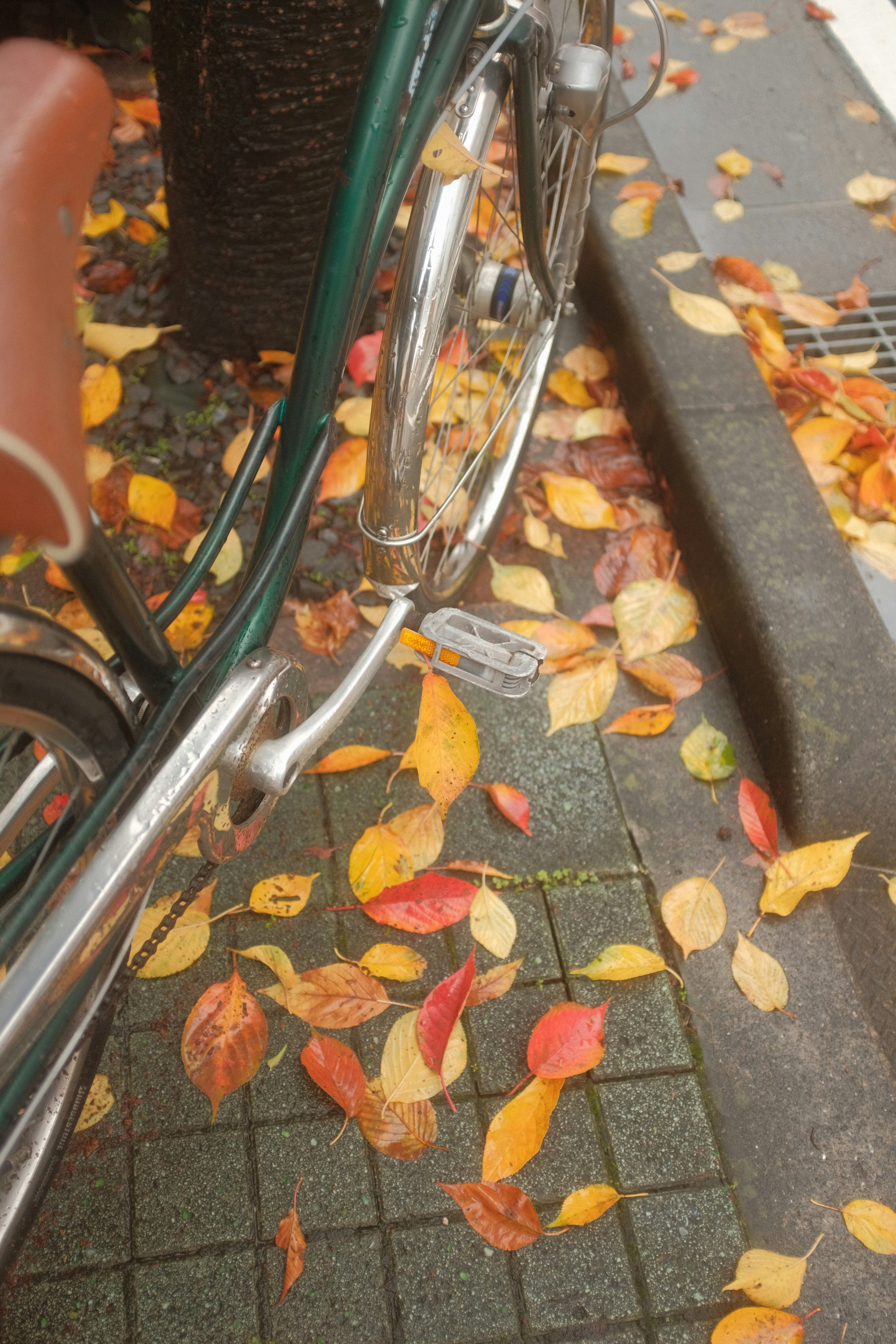 Autumn's Quiet Pedal: A Bicycle Resting by a Leaf-Littered Curb
