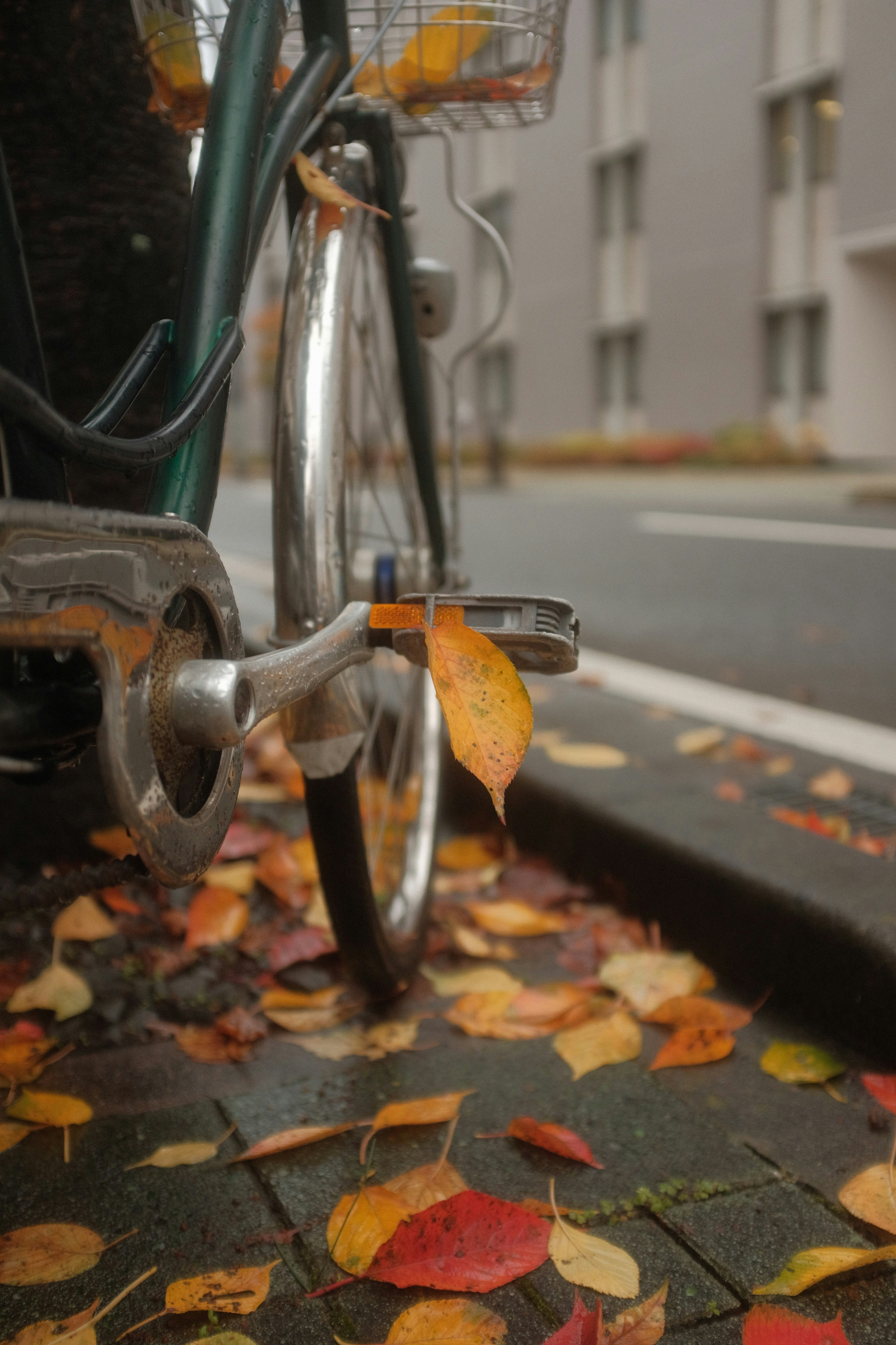 Autumn Pedal: A Quiet Moment by the Bicycle on a Leaf-Covered Street