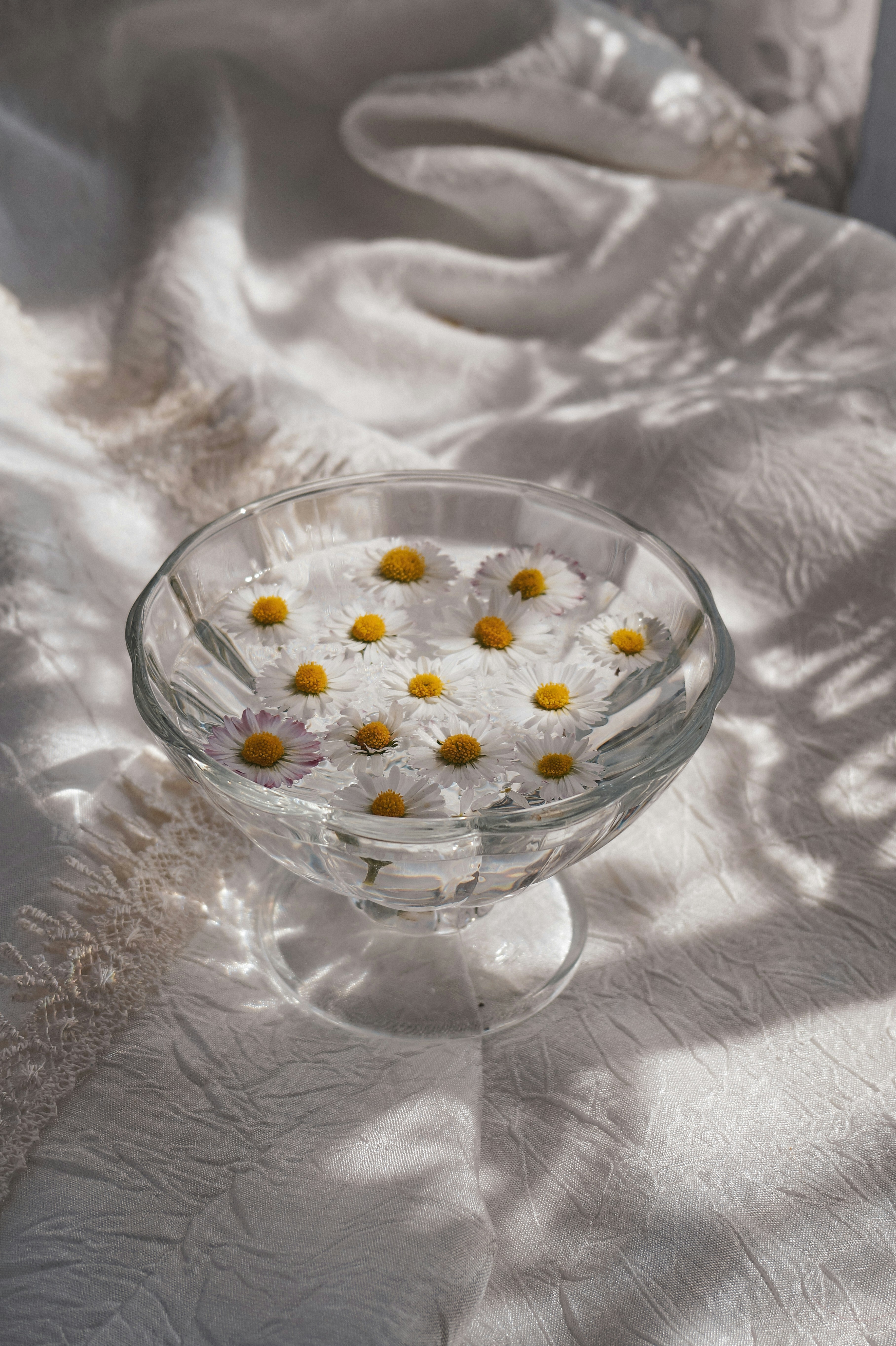 Daisies in a Crystal Bowl: Soft Light on a Quiet Table