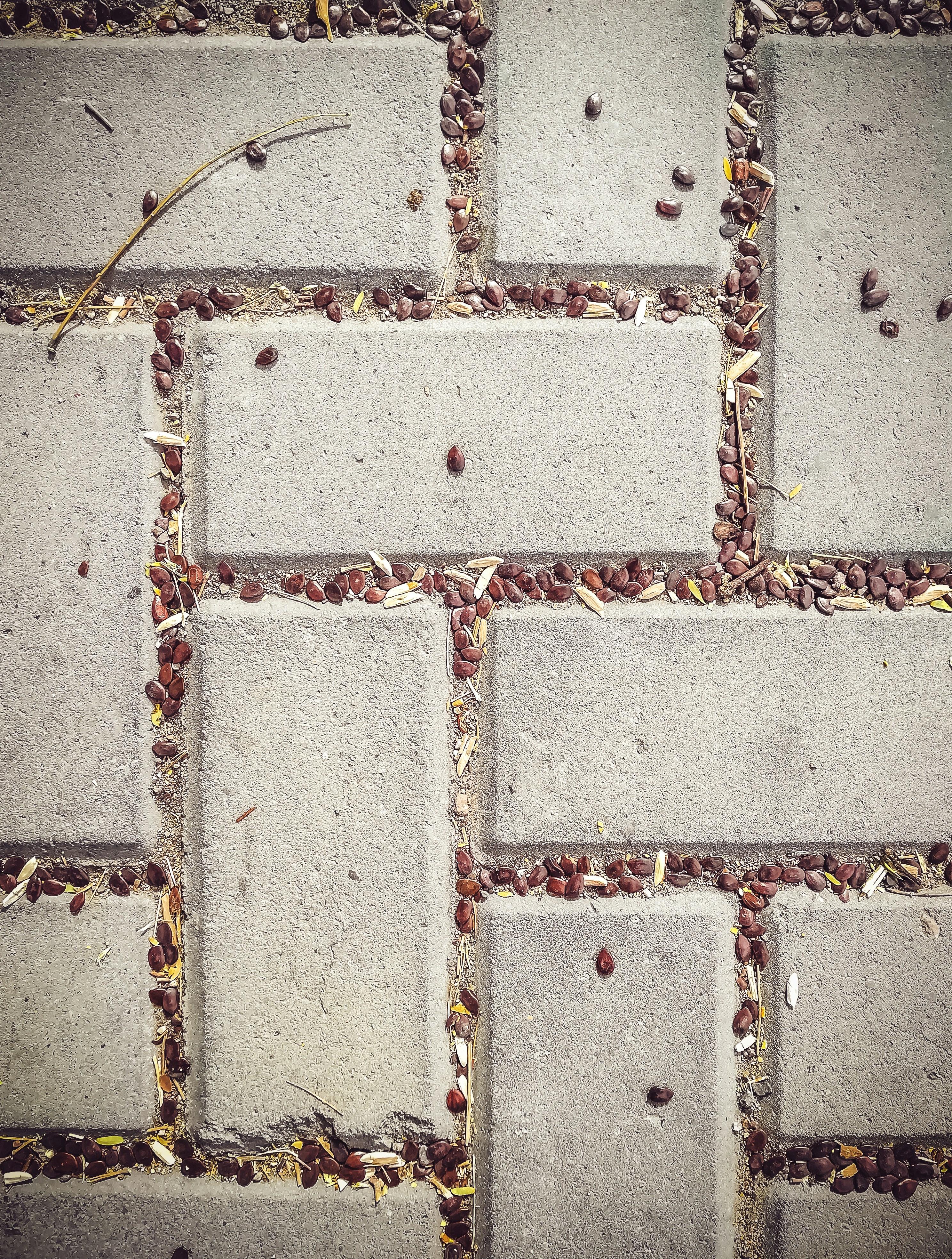 Textures (vertical) | 37 best free vertical, texture, color and ...
