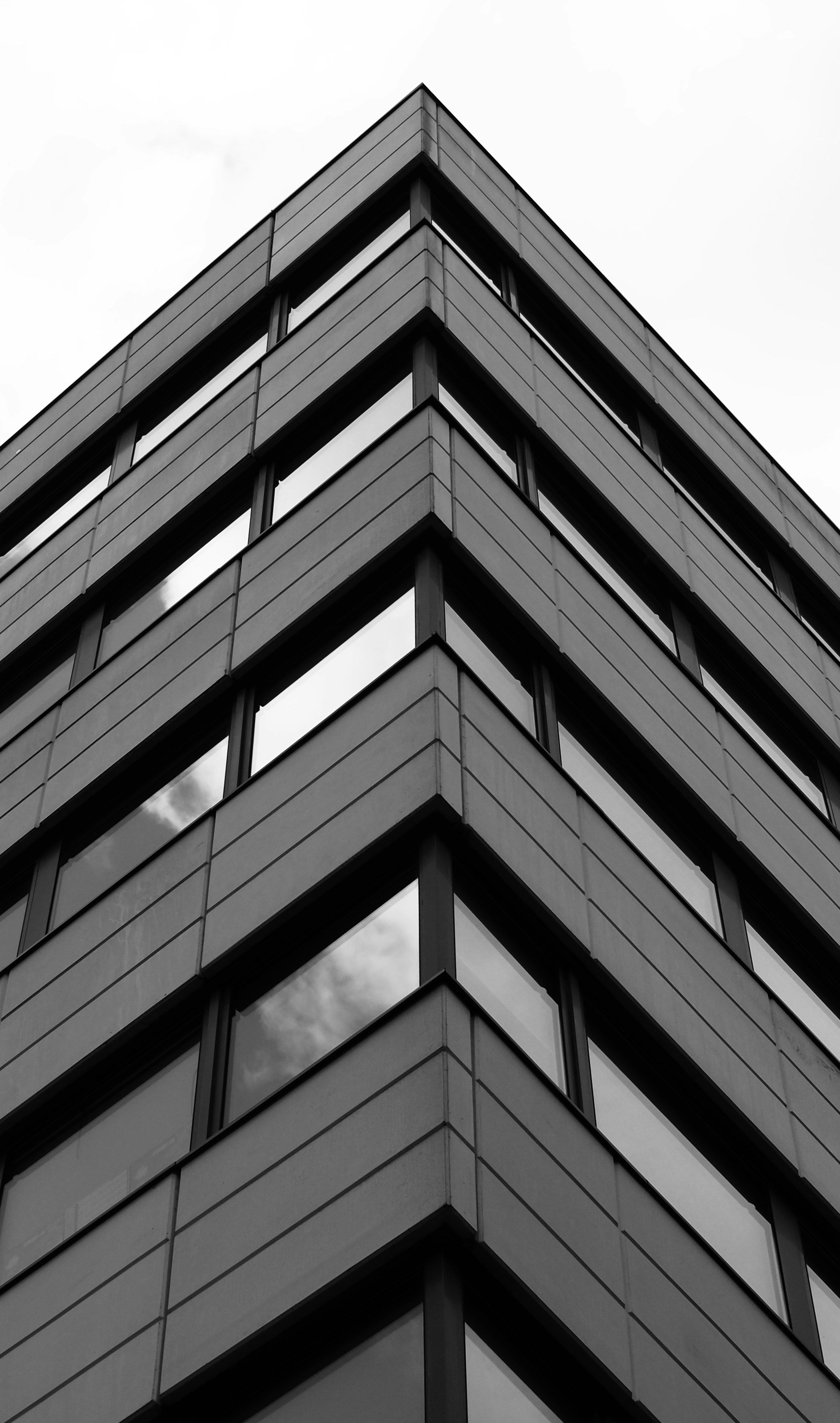 Photo by Rayyân with Olympus OM-D E-M10 Mark II