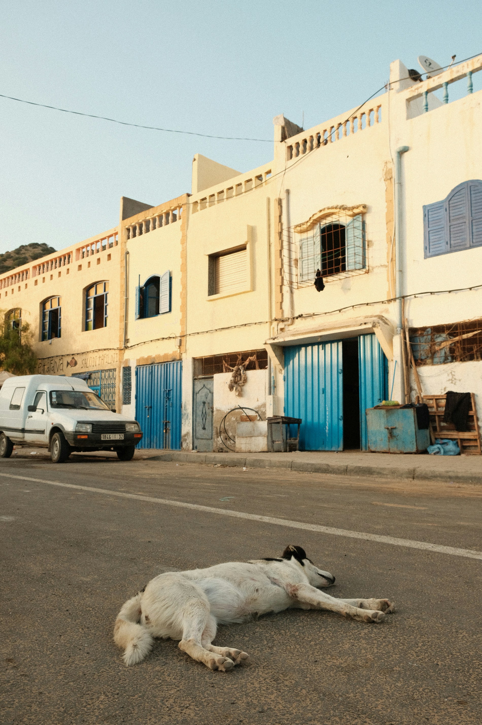 A white dog sprawled on a sunlit street in front of colorful buildings, capturing a moment of calm in a bustling environment.