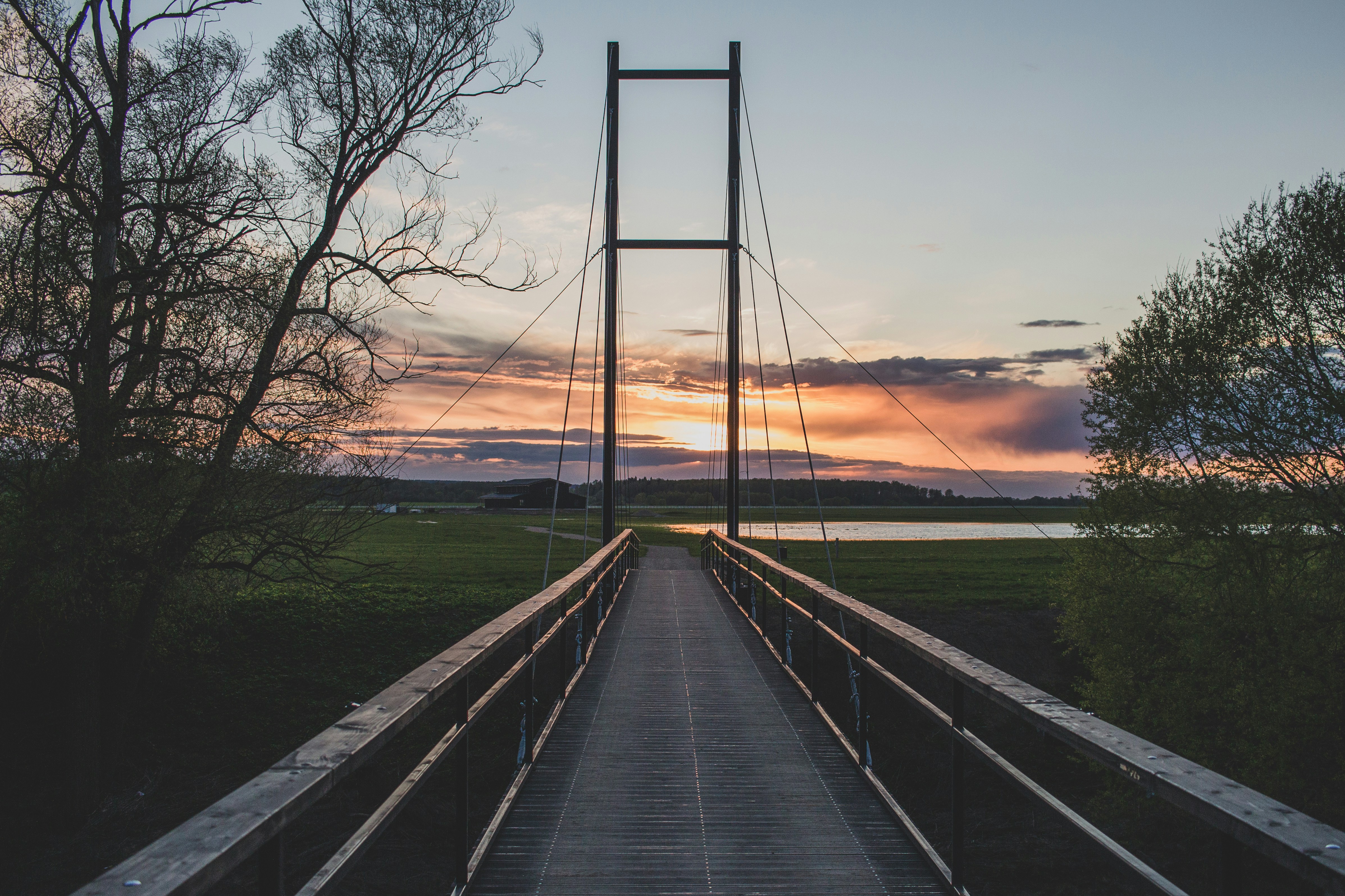 Horizon Gate: Central Suspension Bridge at Dusk