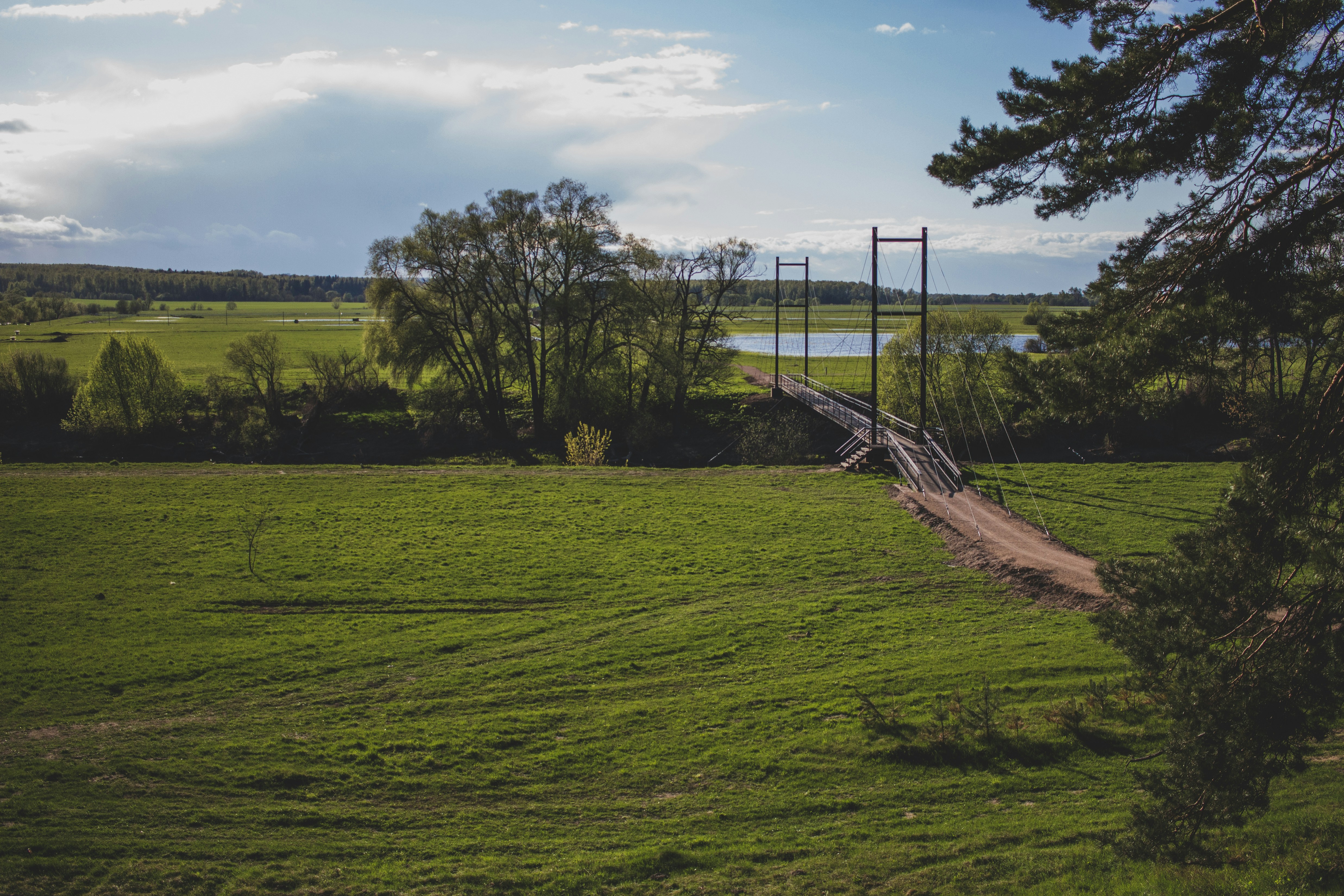 The Meadow Bridge: A Narrow Span Reaching the Distant River