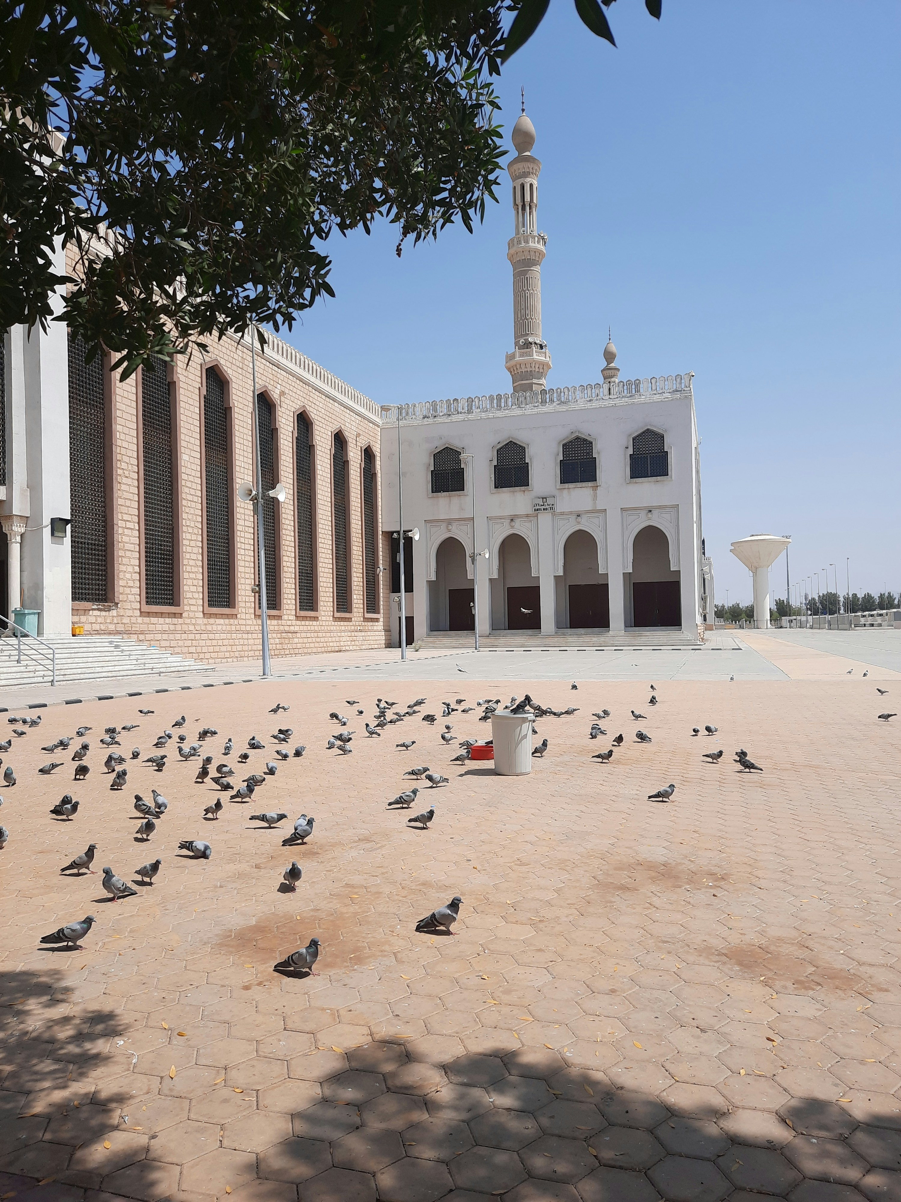 Sunlit Courtyard Minaret: Pigeons Scatter Across Hex-Tiled Plaza