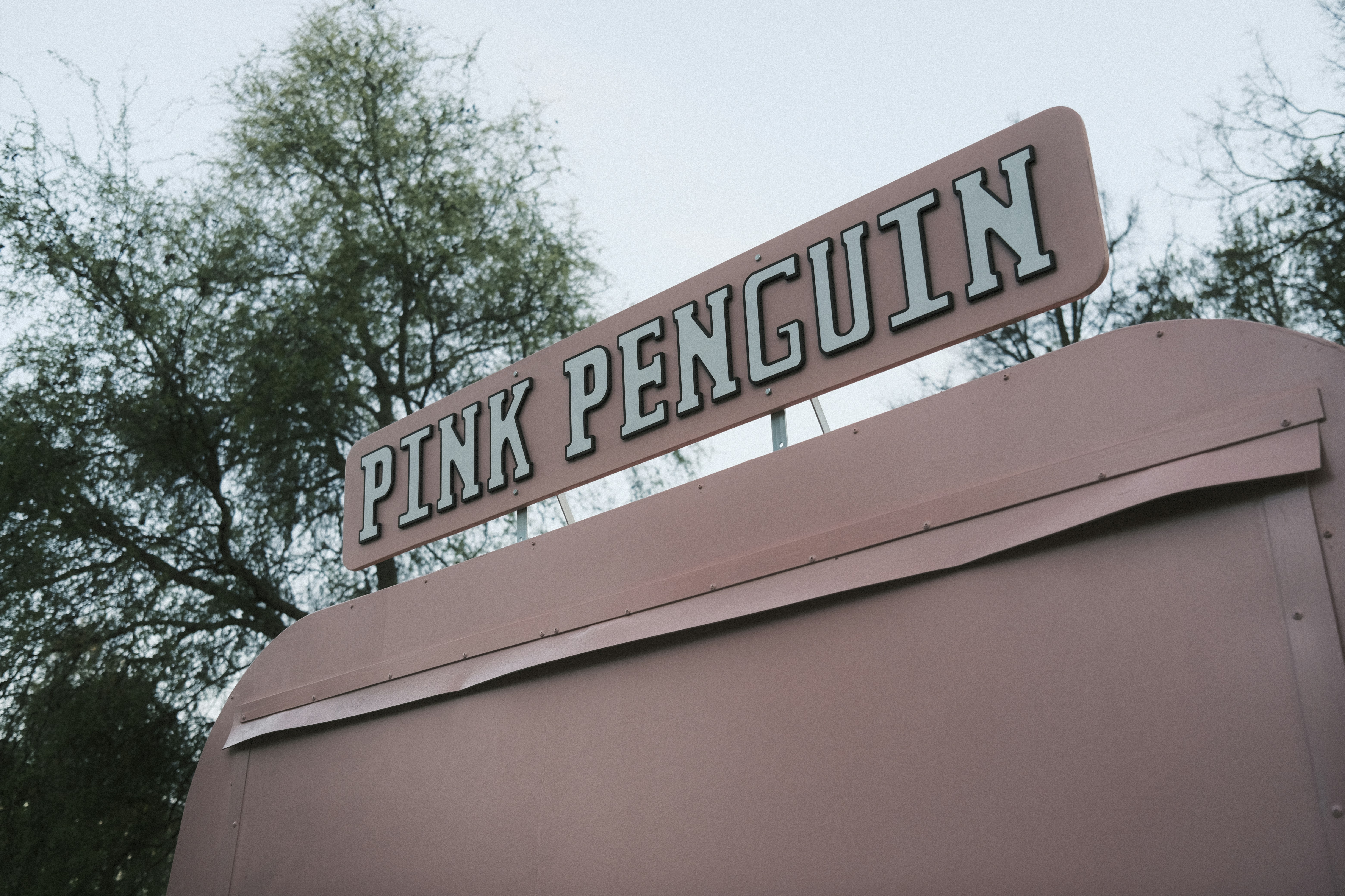 Pastel Pink Penguin Signboard Framed by Trees