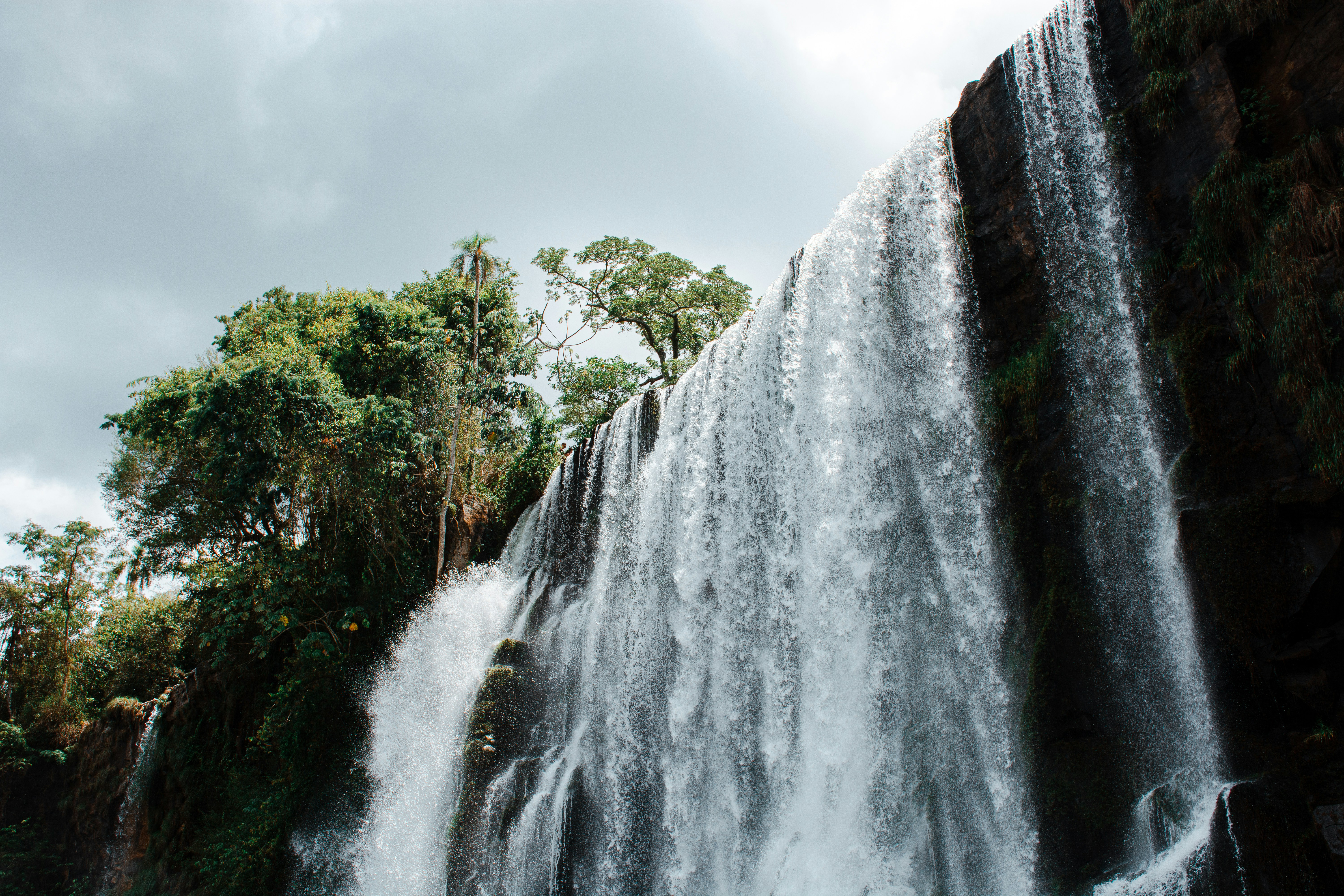 Kempty Falls with trees on the side photo – Free Puerto iguazú Image on ...