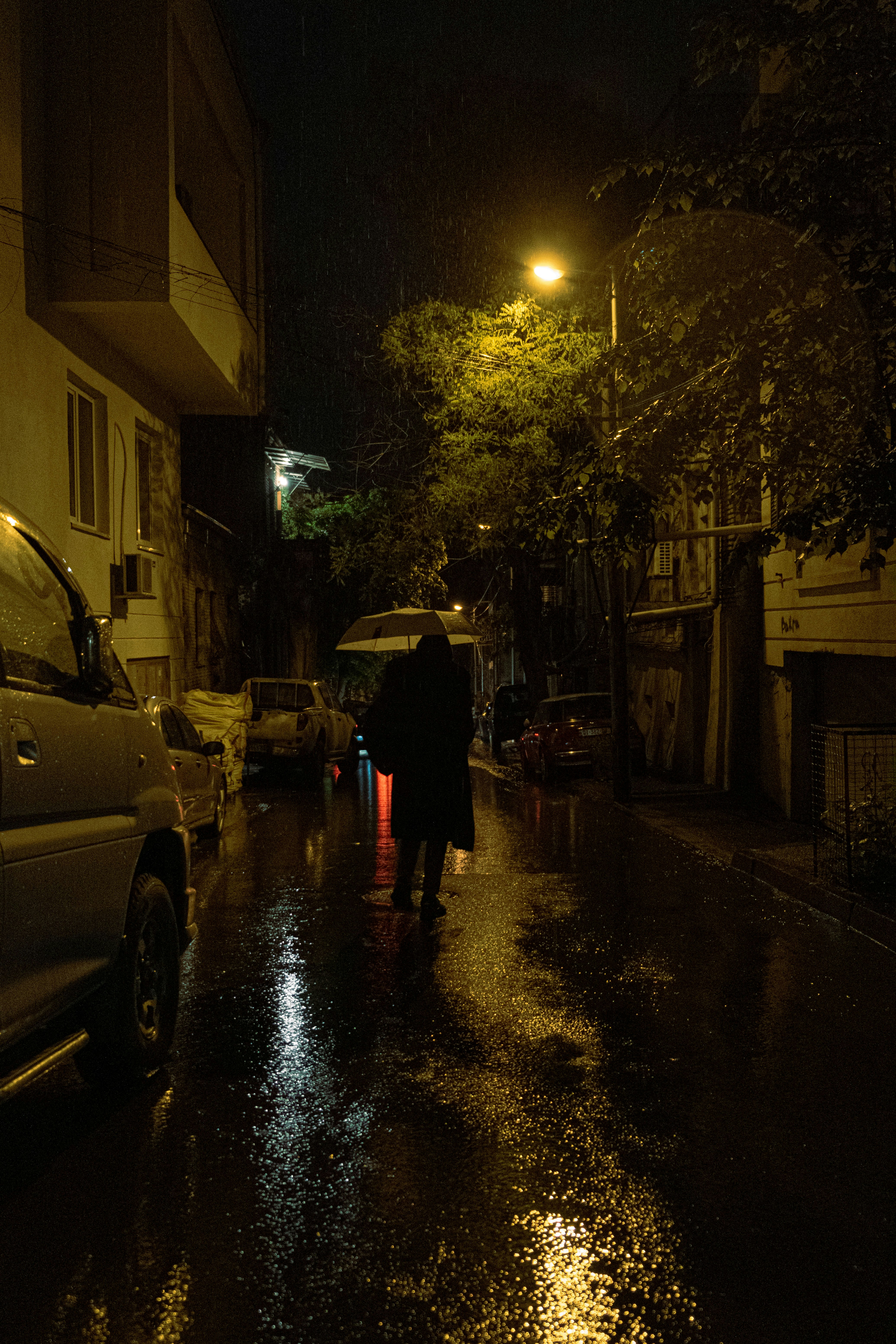 Umbrella in the Rain: A Quiet Night Stroll Through Shimmering Streets