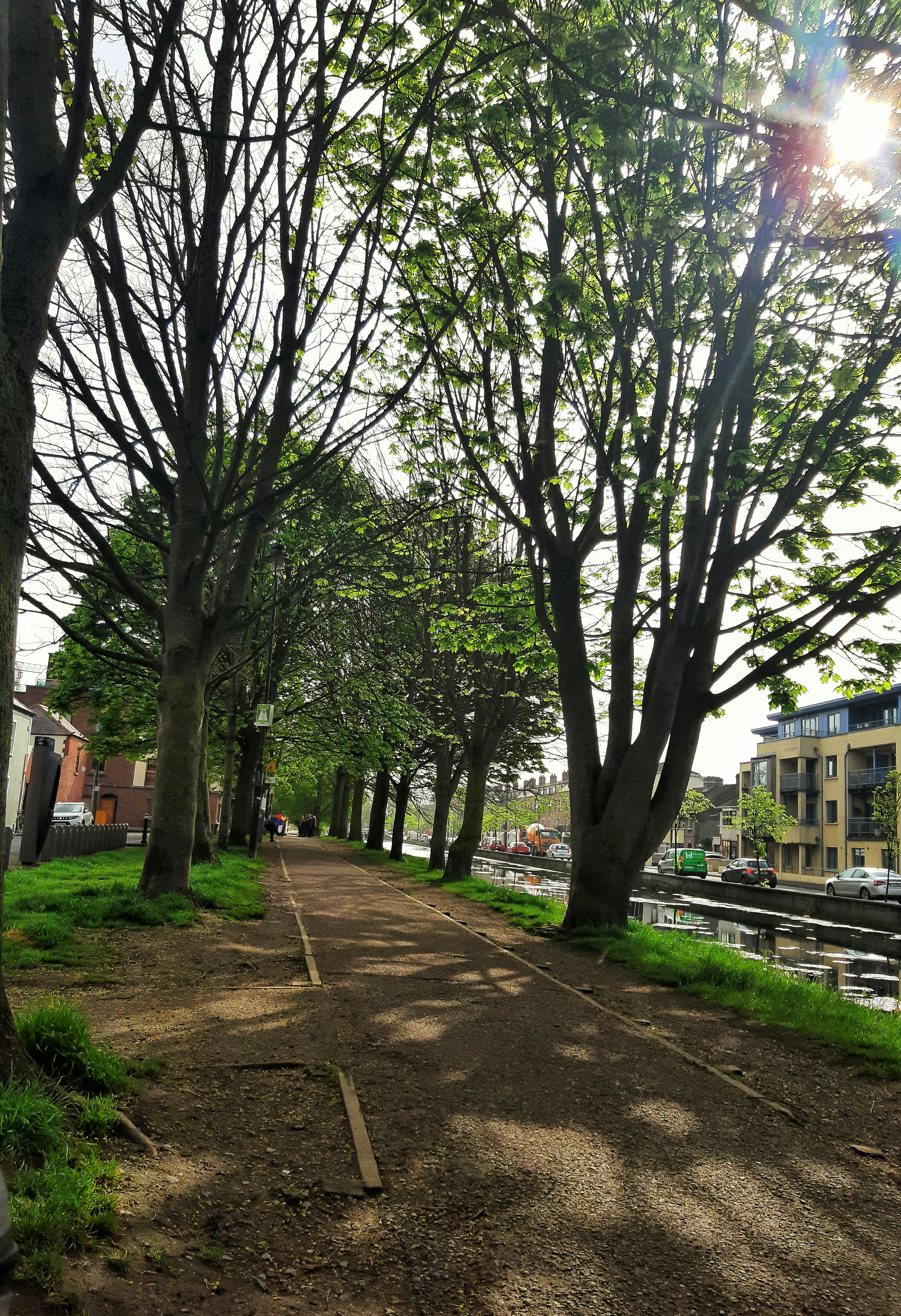 Un chemin avec des arbres sur le côté photo – Photo Irlande Gratuite ...