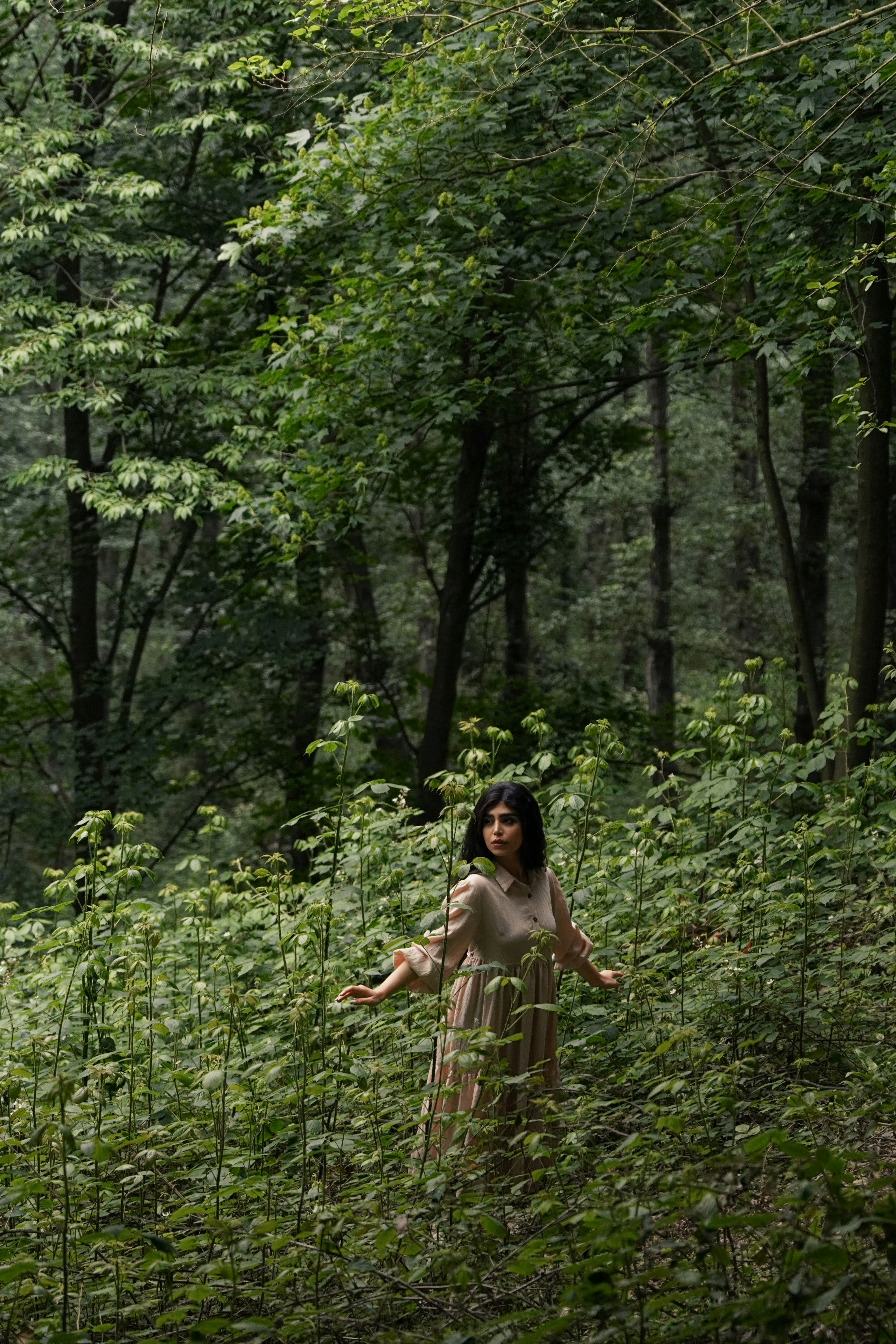 A woman in a flowing dress stands amidst lush greenery in a serene forest. Sunlight filters through the trees, creating a tranquil atmosphere.