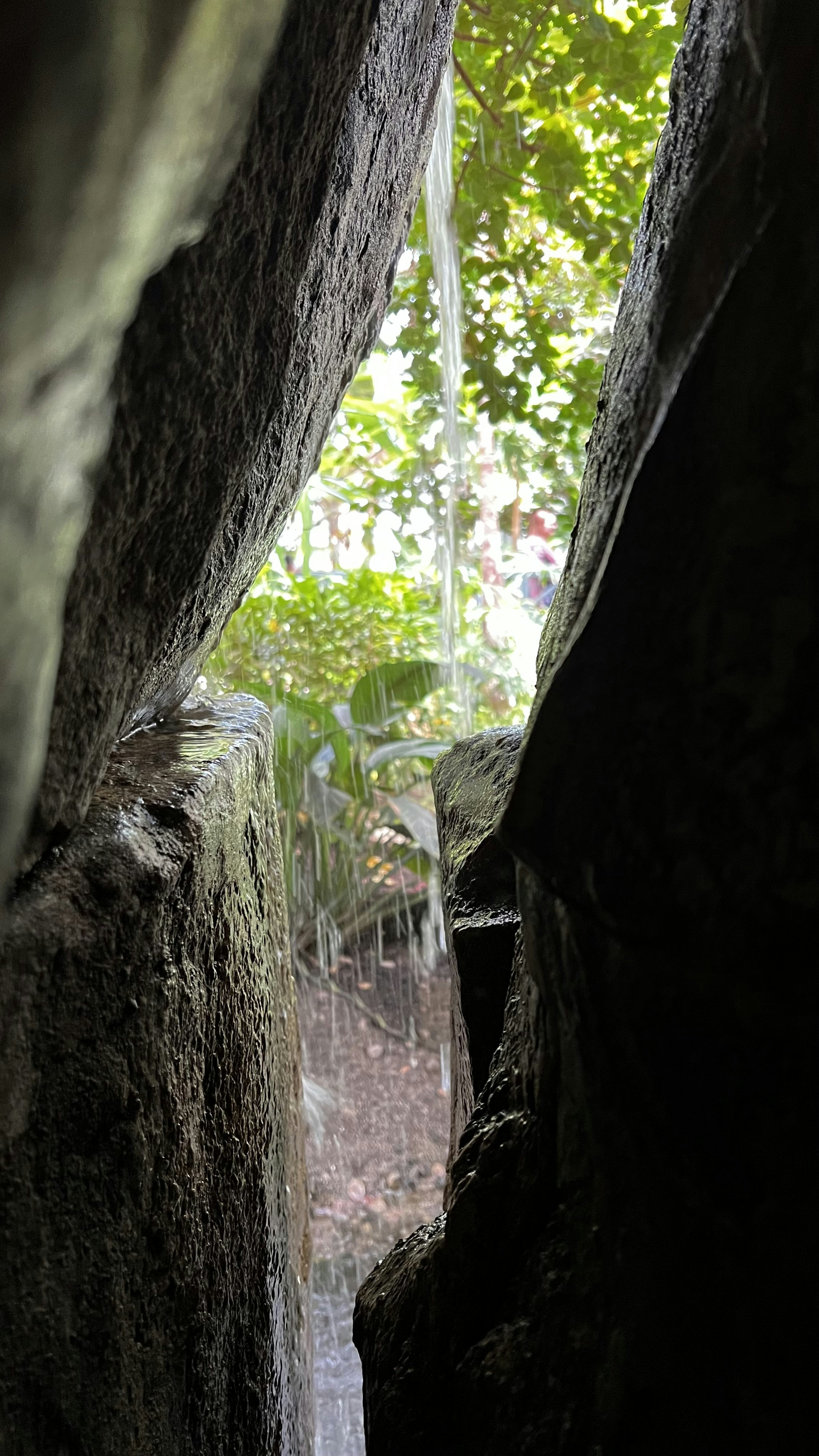 A Hidden Grotto: Water Tracing the Narrow Crevice Between Stone Walls