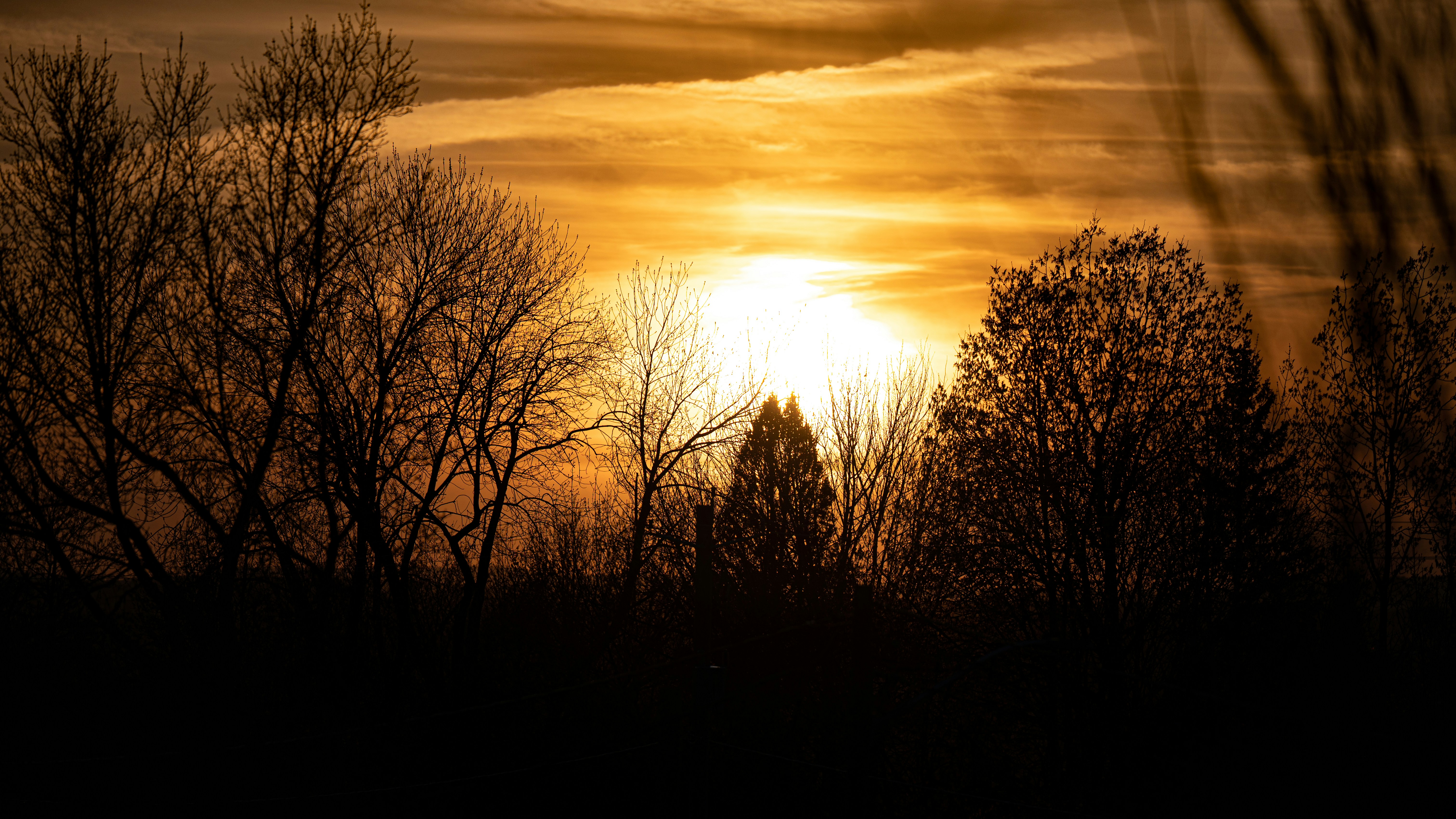 A sunset over a forest photo – Free Sherbrooke Image on Unsplash
