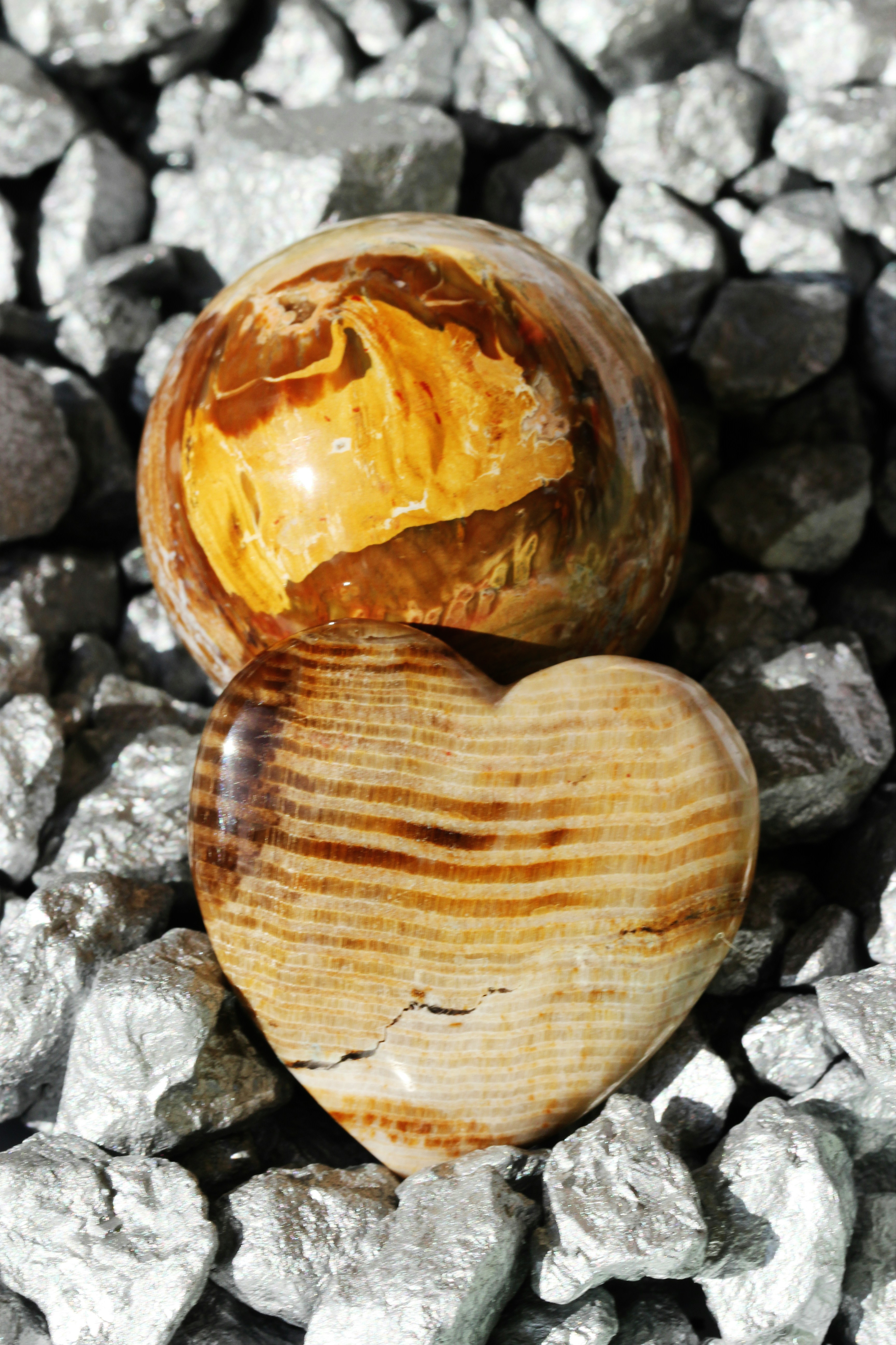 Amber Within a Cracked Shell on Iron-Gray Gravel