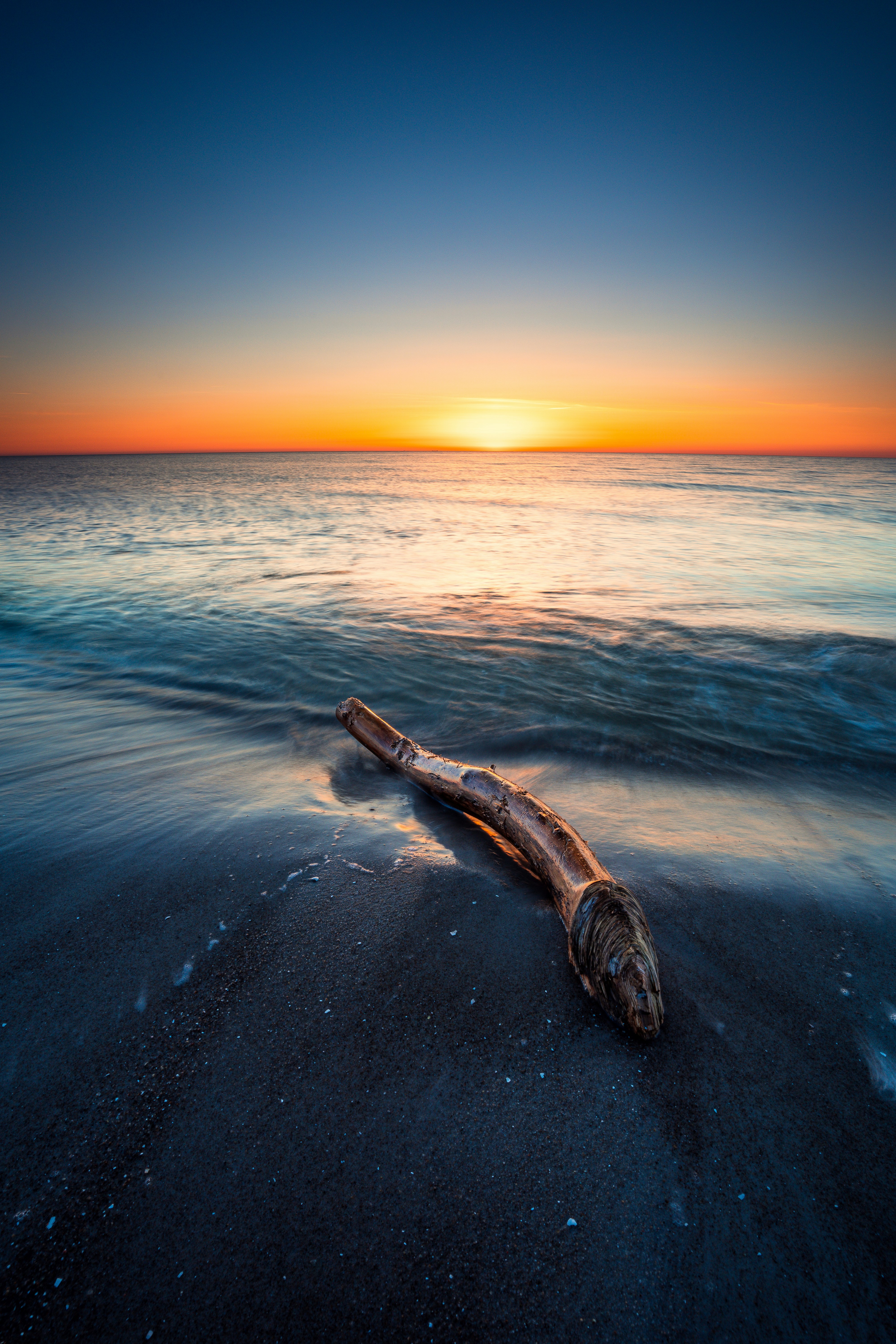 A snake on a beach photo – Free Ostsee Image on Unsplash