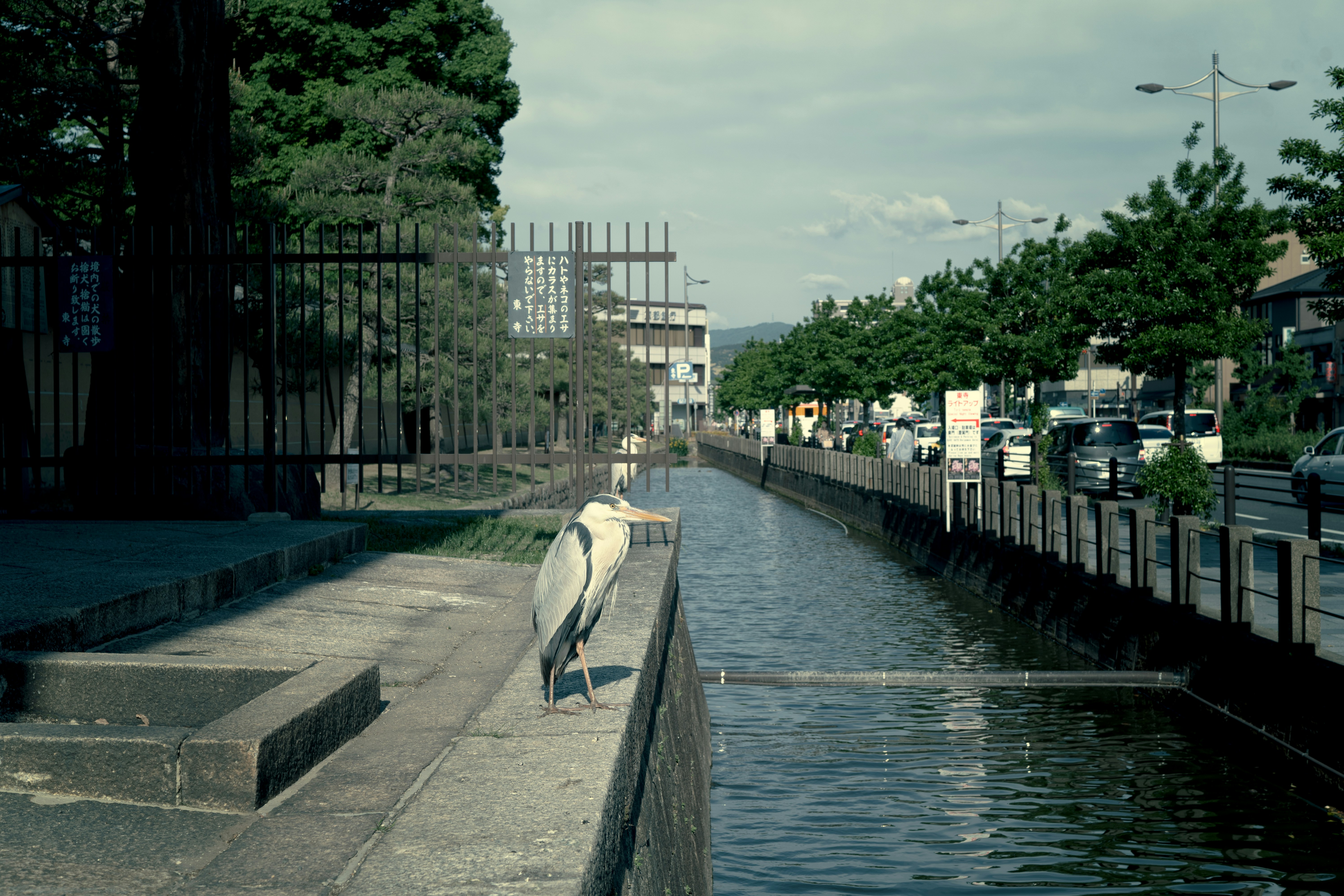 A heron stands gracefully on the edge of a canal, surrounded by urban greenery and infrastructure. The scene captures a moment of tranquility in a bustling city.