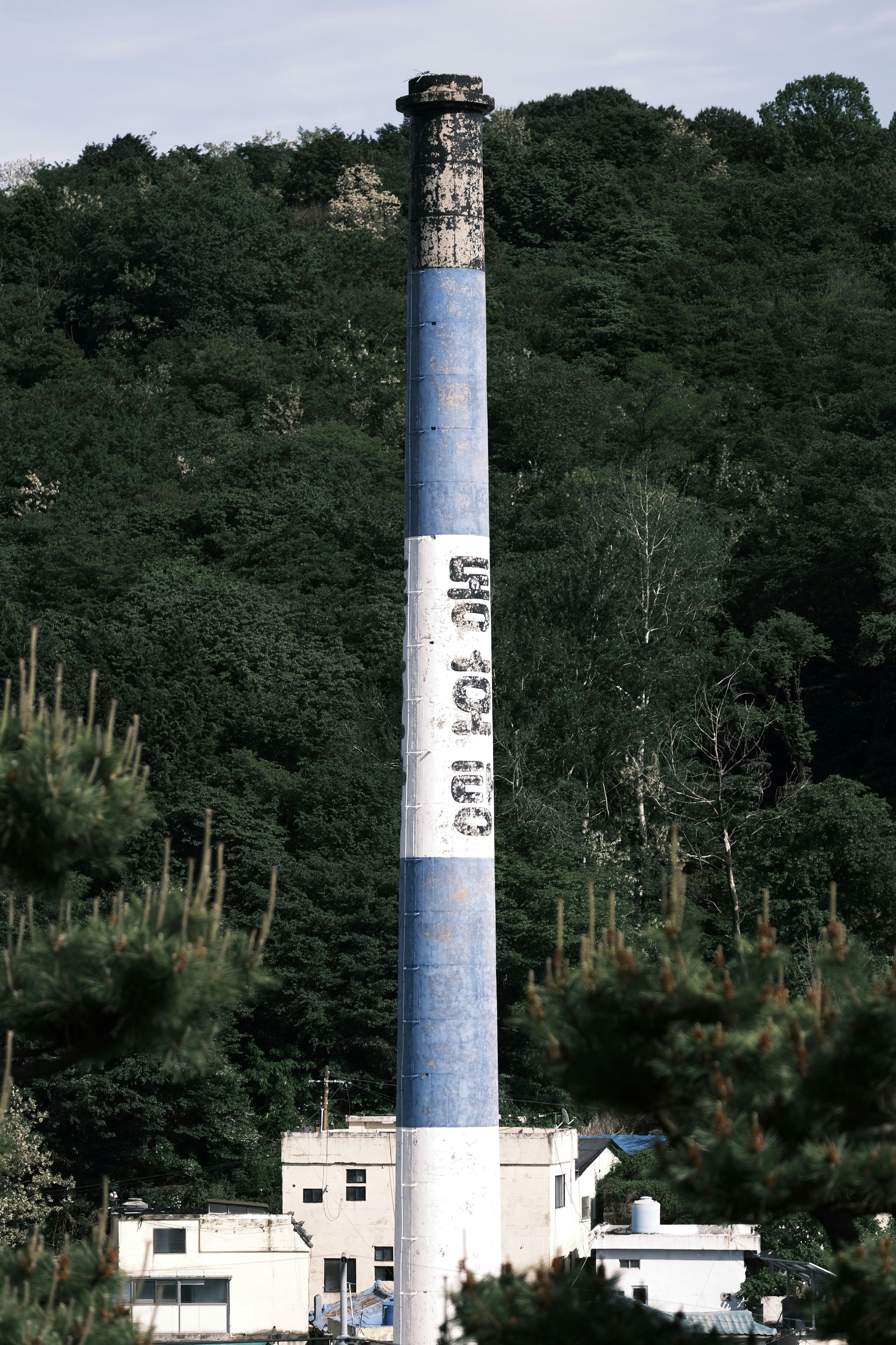 Blue-Striped Chimney Rising Over a Forested Industrial Yard