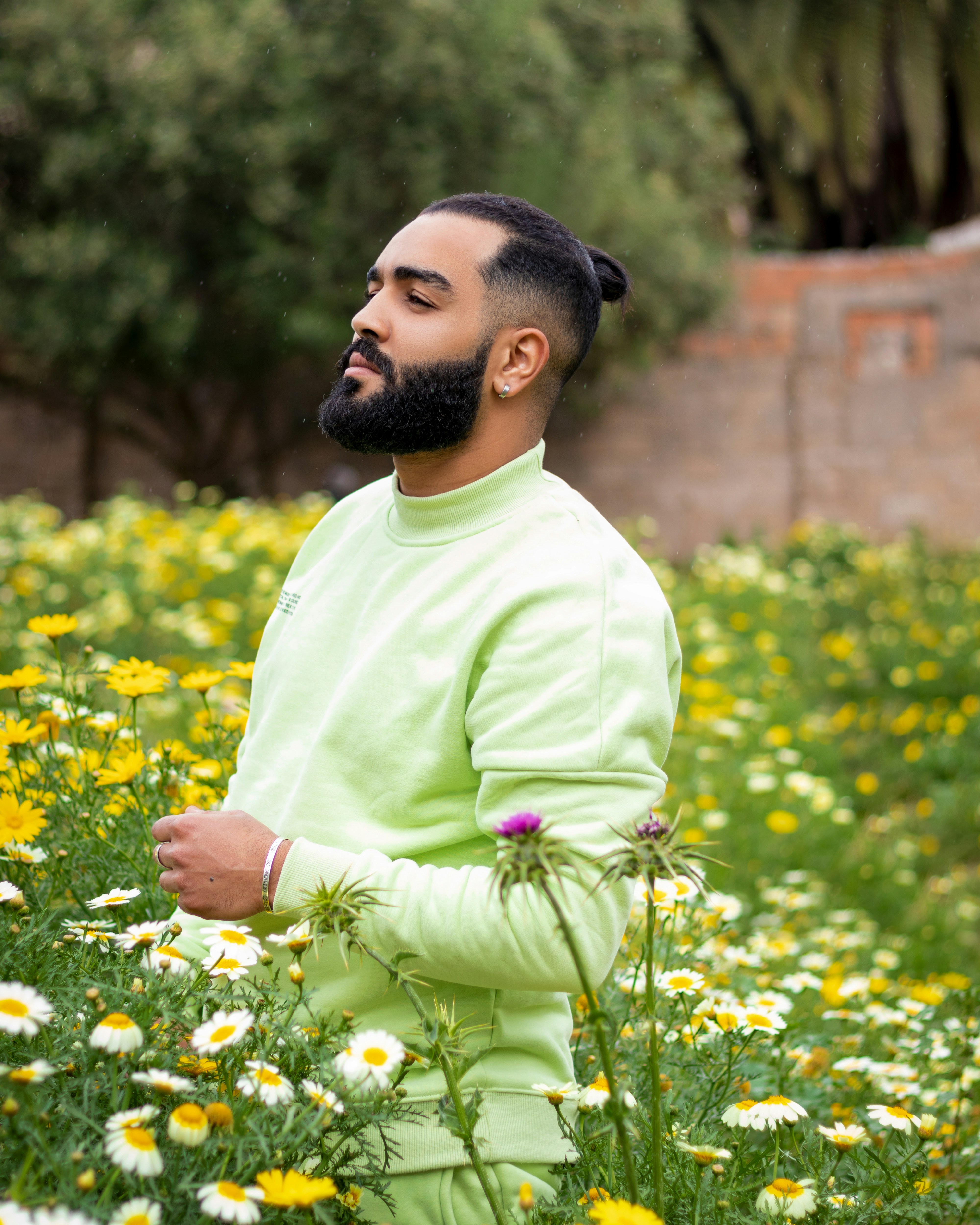 Neon Green Stillness among Daisies