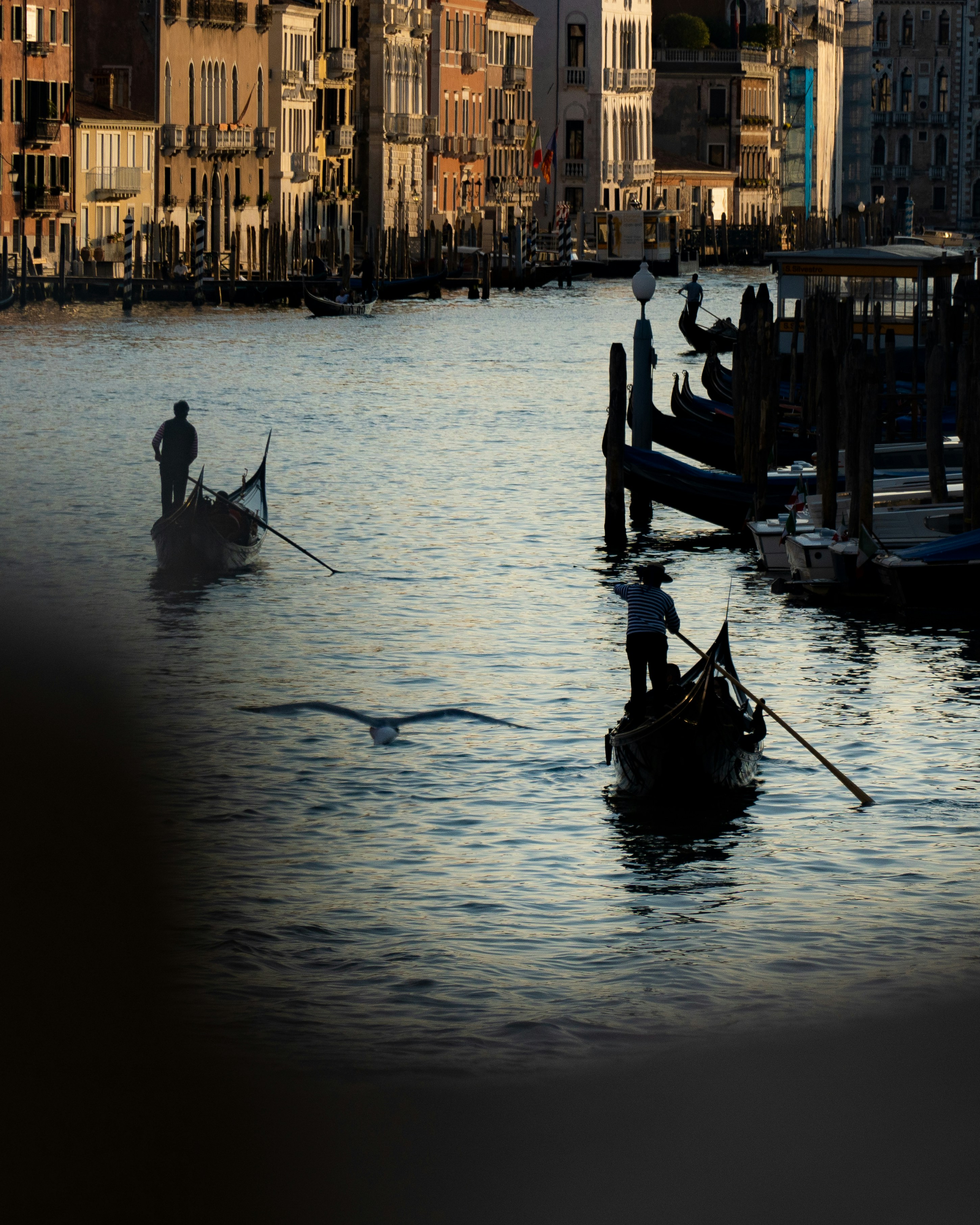 Photo by Hubert Buratynski with Sony Alpha 6400