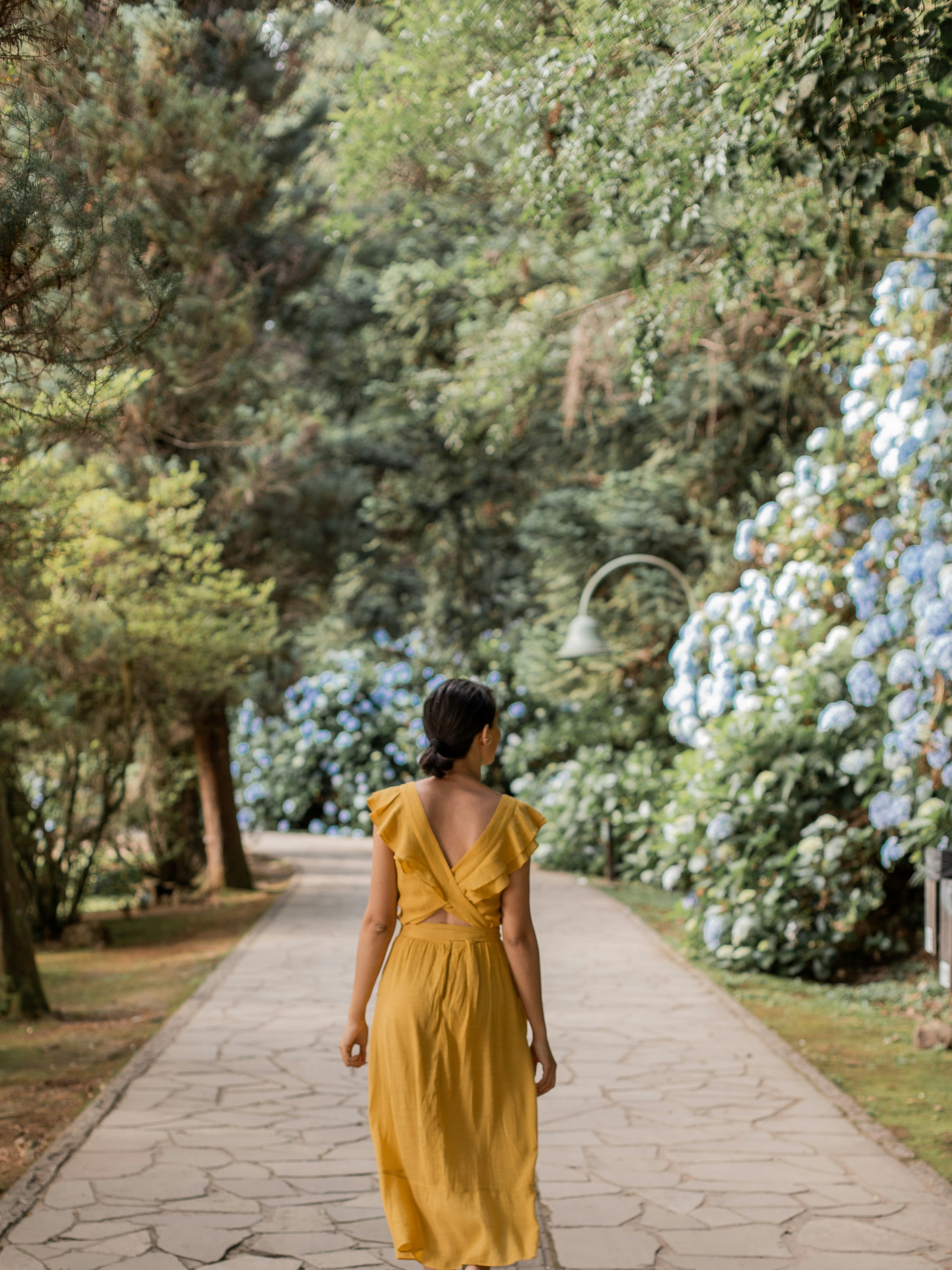 Golden-path: A woman in a sunlit yellow dress walks down a hydrangea-lined lane