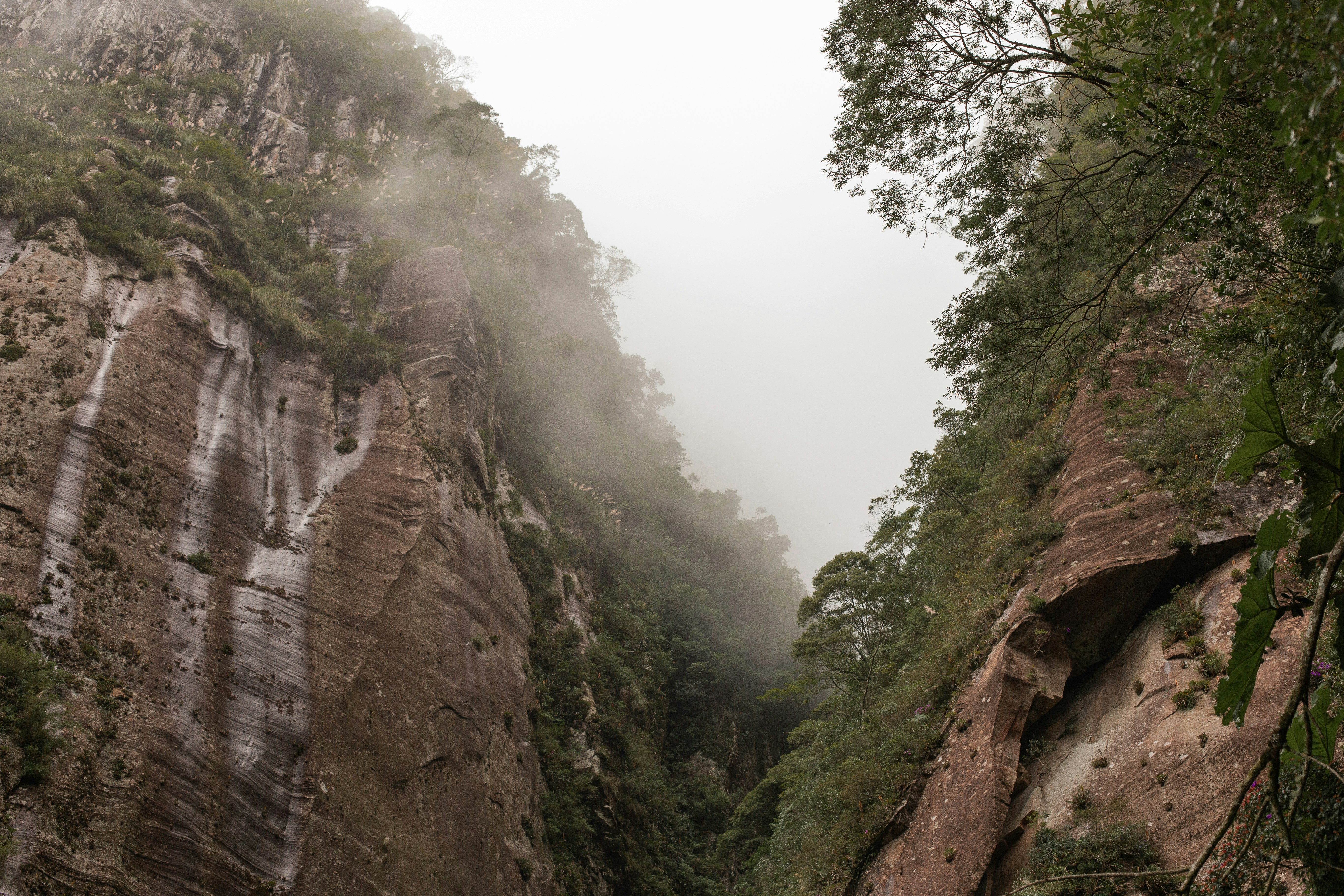 a waterfall in a forest