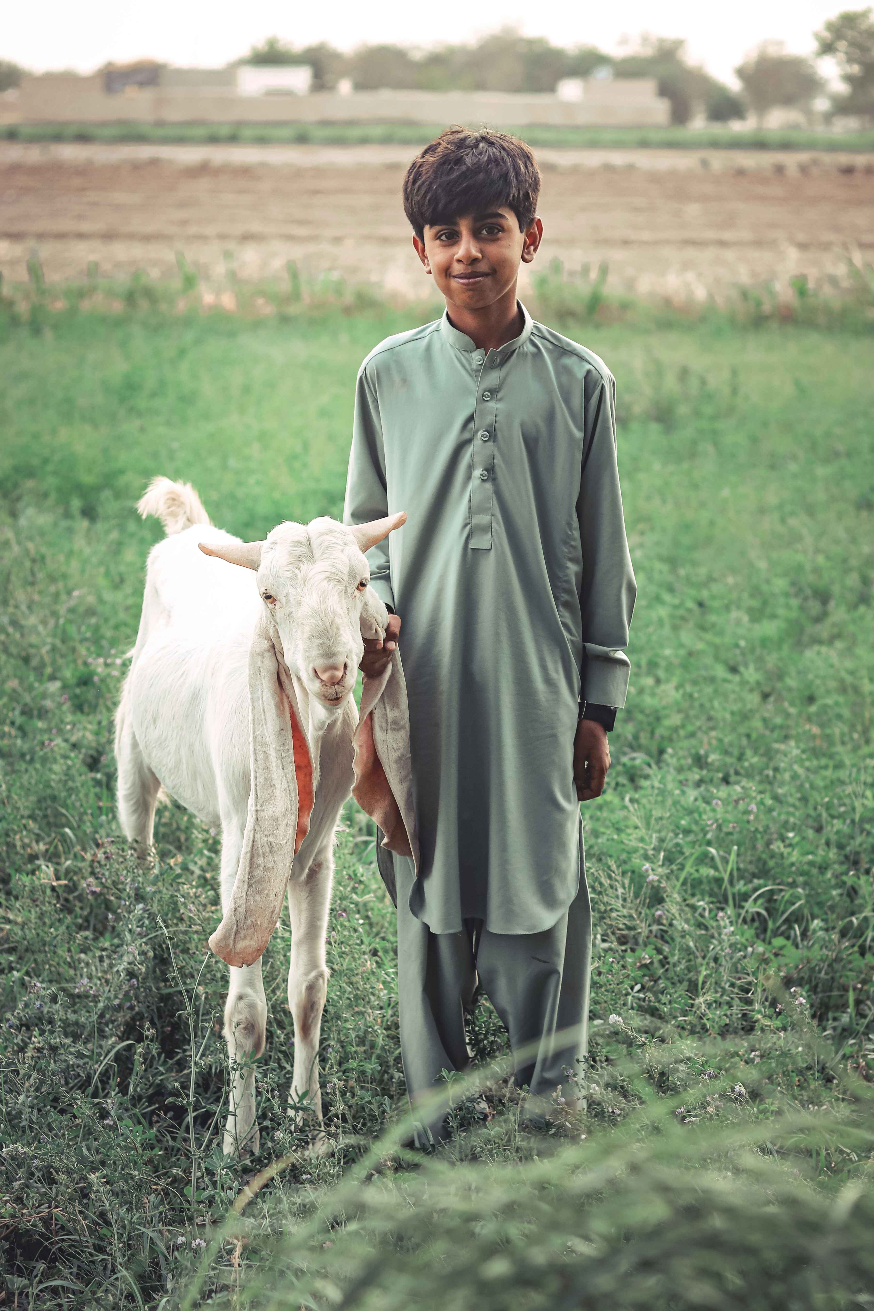 Green Field Bond: A Boy and a Goat in Quiet Afternoon Light
