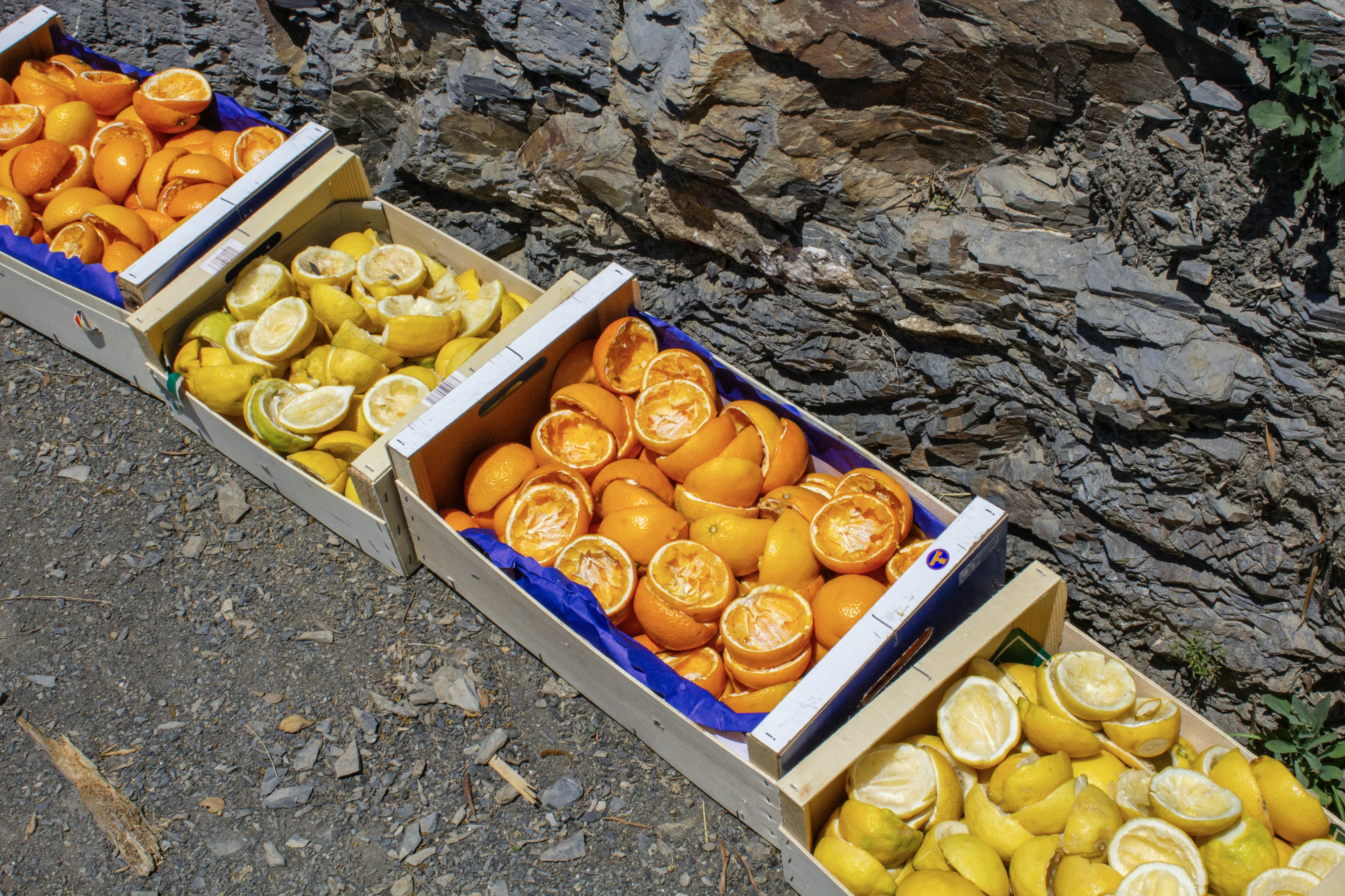 Wooden crates filled with fresh lemons and oranges against a rustic stone wall.