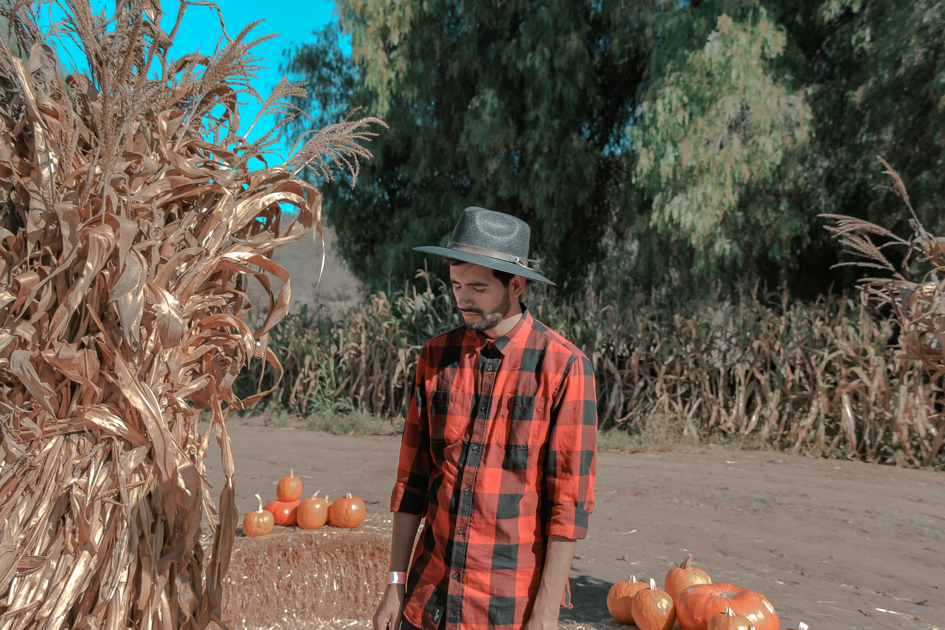 Crimson Plaid Portrait in a Harvest Patch