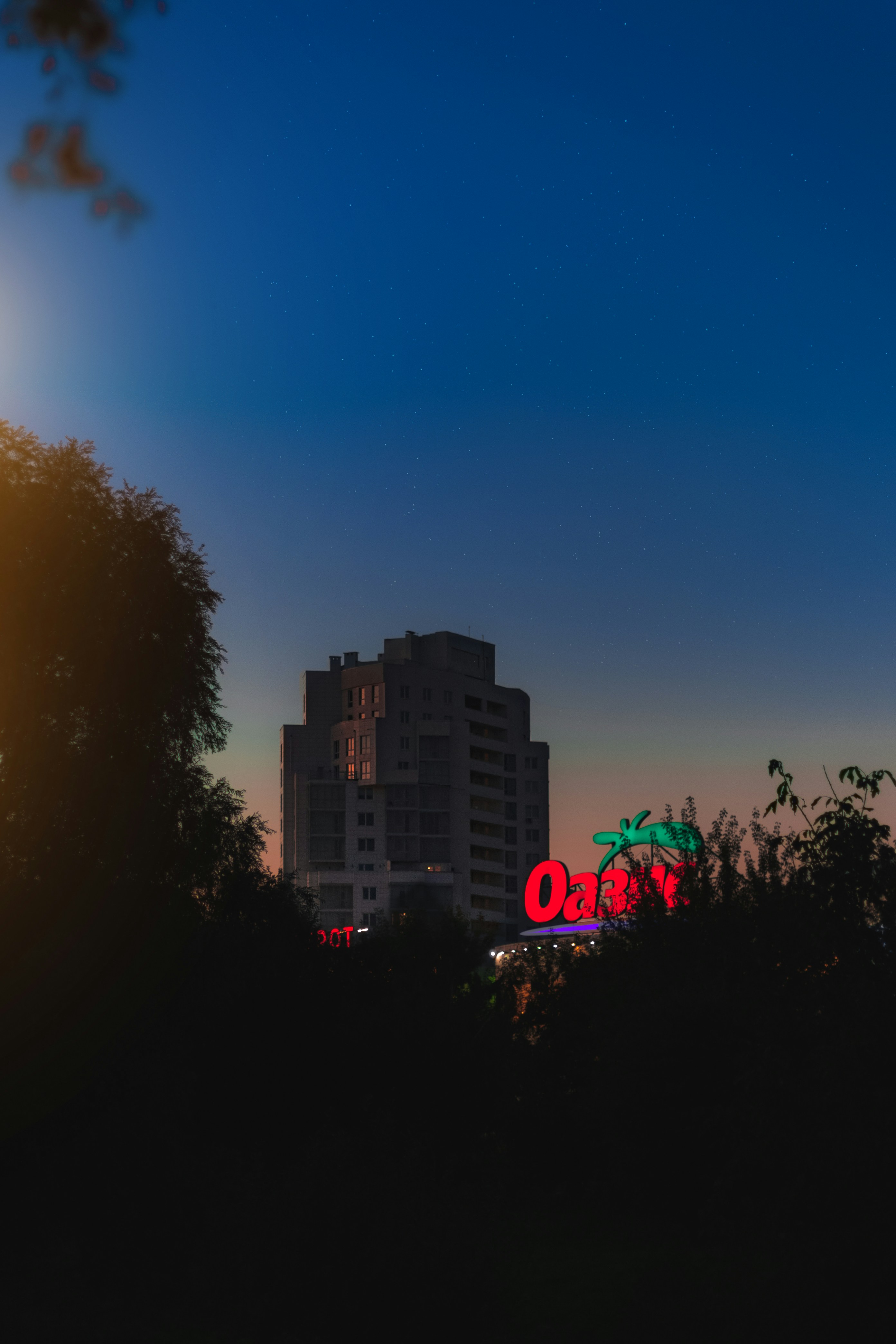 Neon Palm Sign Over a Quiet Dusk Skyline