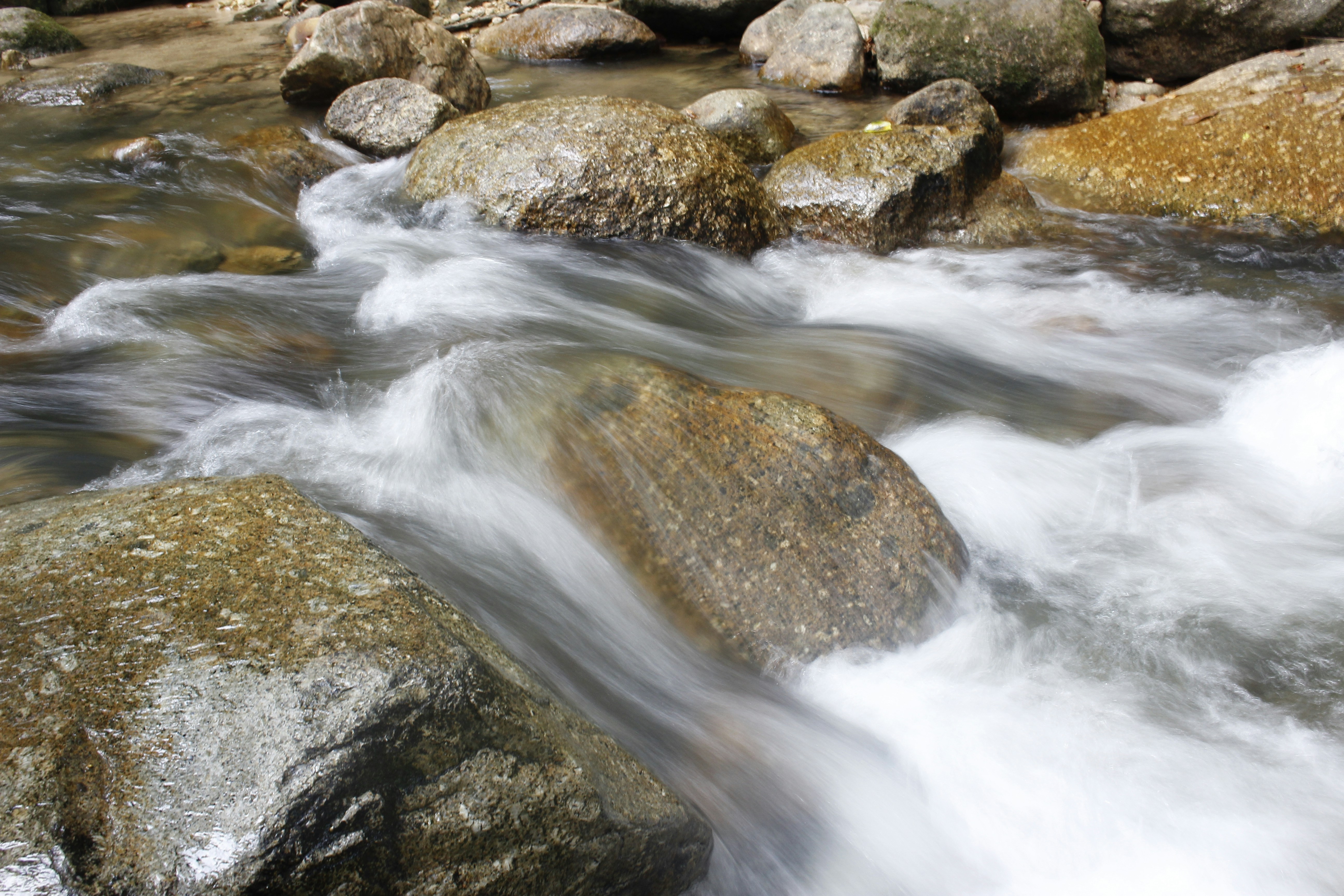 Gentle water flows over smooth stones in a serene river setting, capturing the essence of nature's tranquility.