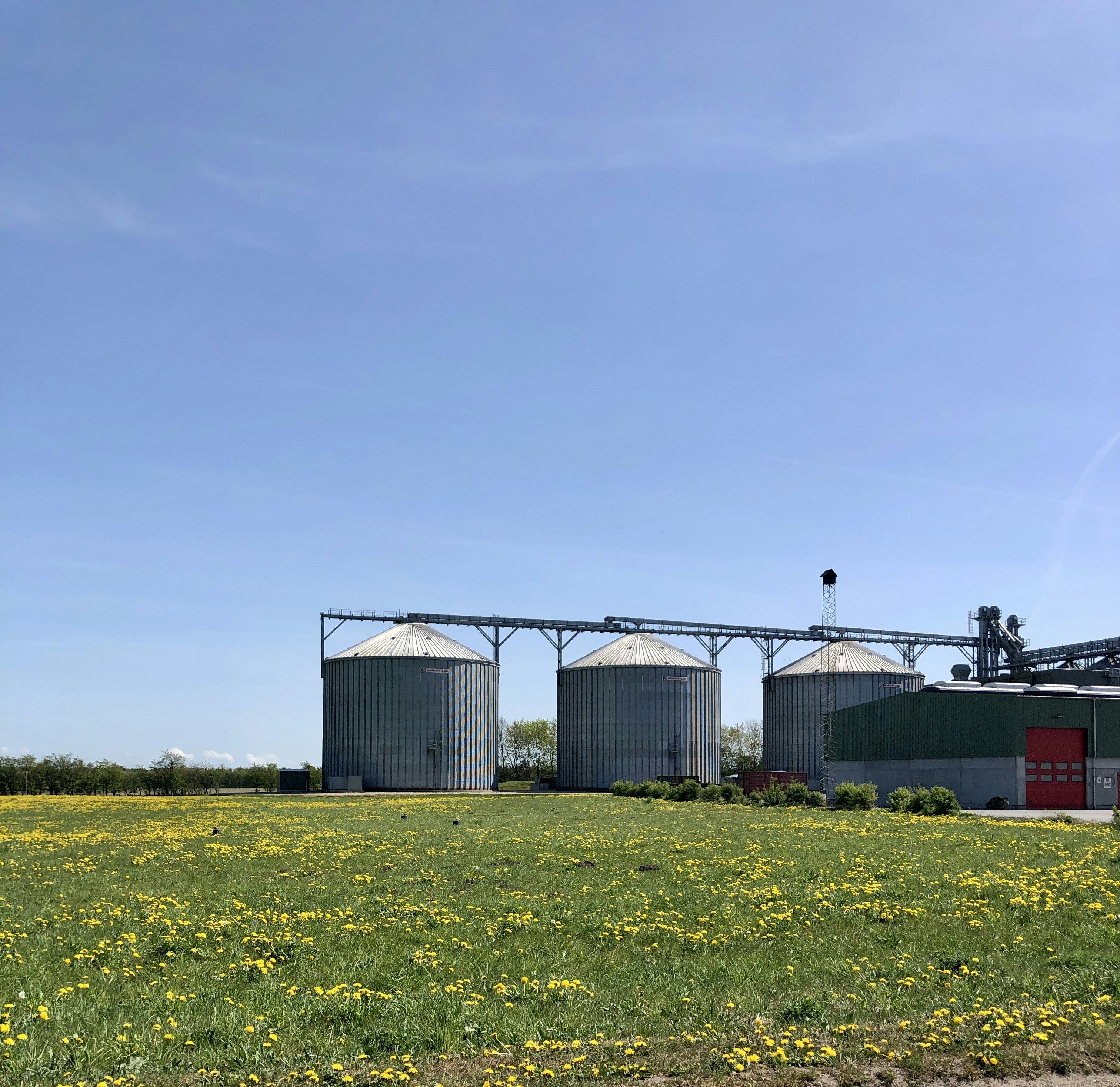 Silos near rape field in Himmerland in Denmark
 | a group of buildings with a field in front of them