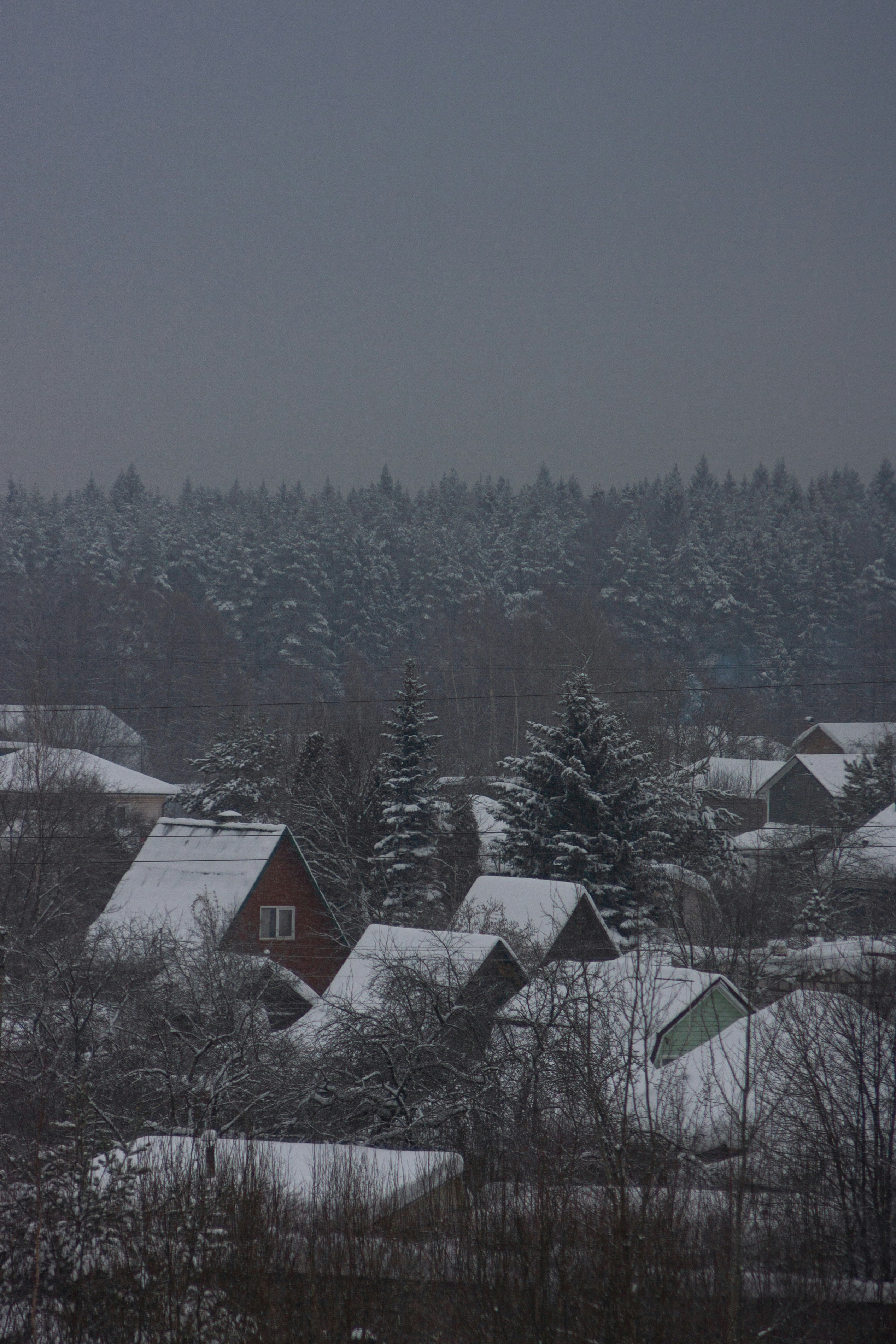 Snow-laden rooftops and frosted trees create a serene winter scene in a quiet village, enveloped in a soft gray sky.