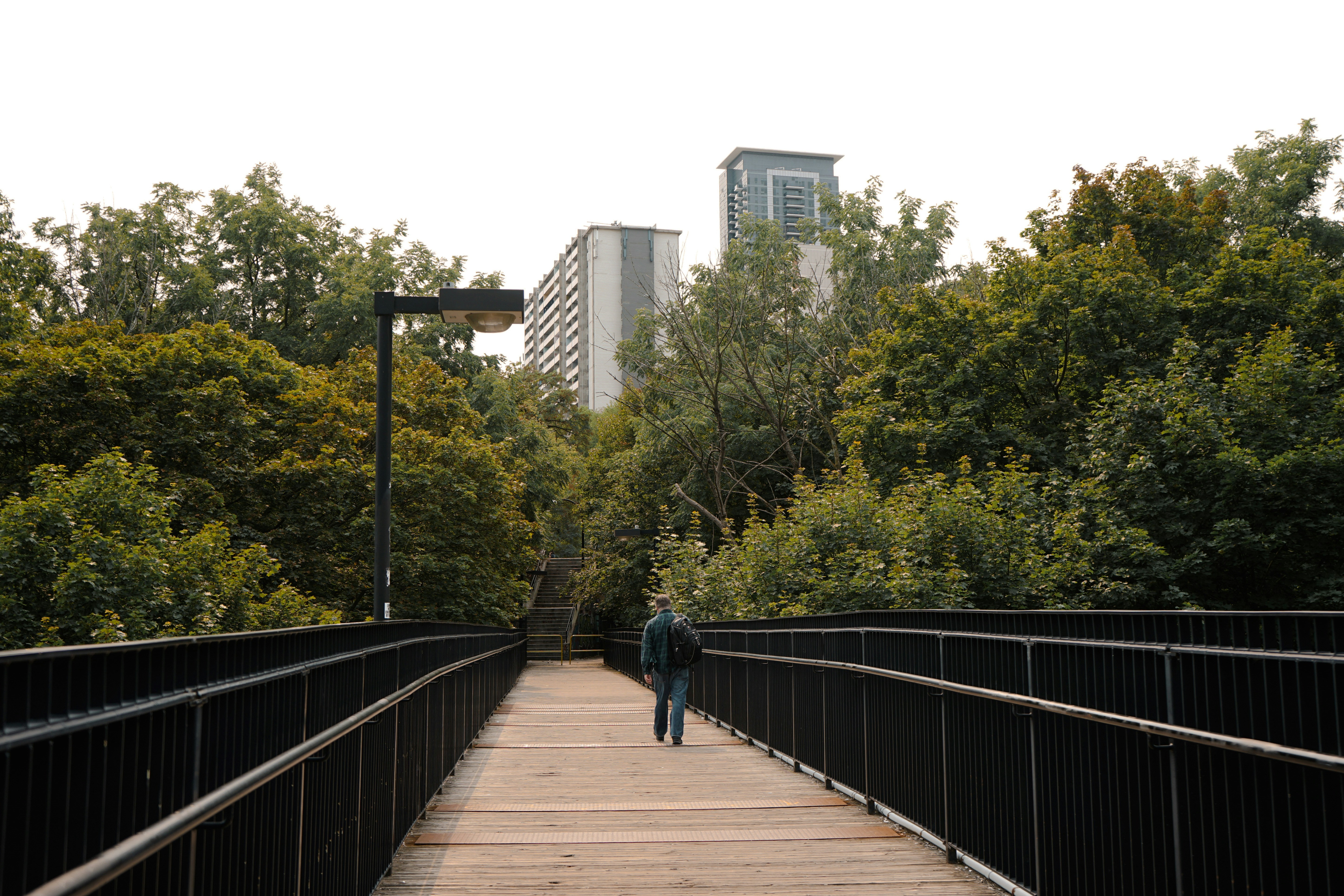 Bridge Walk: A Solitary Figure on a Timber-Deck Path Toward the City