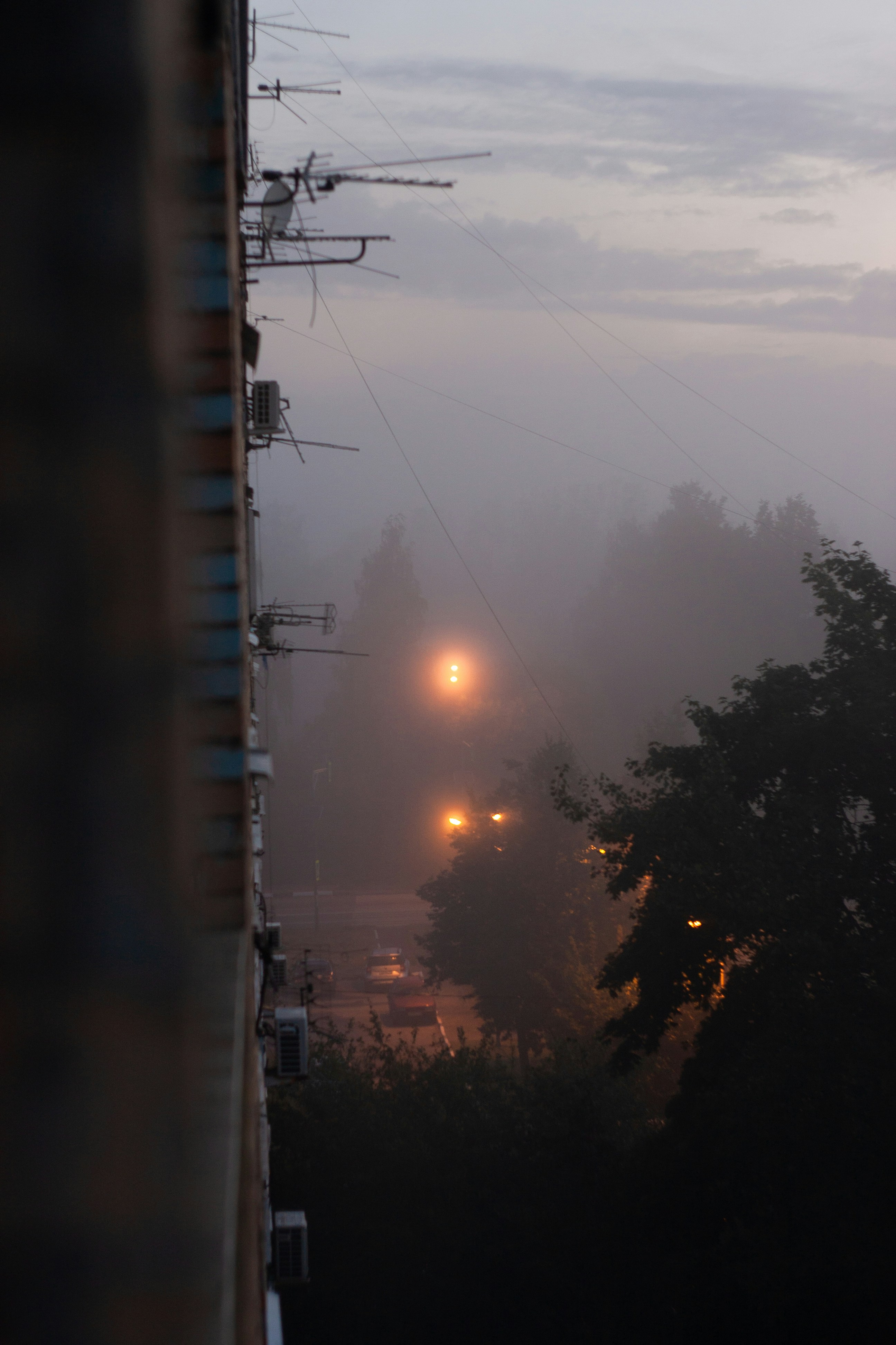 Fogbound Avenue: Warm Orbs Through the Haze