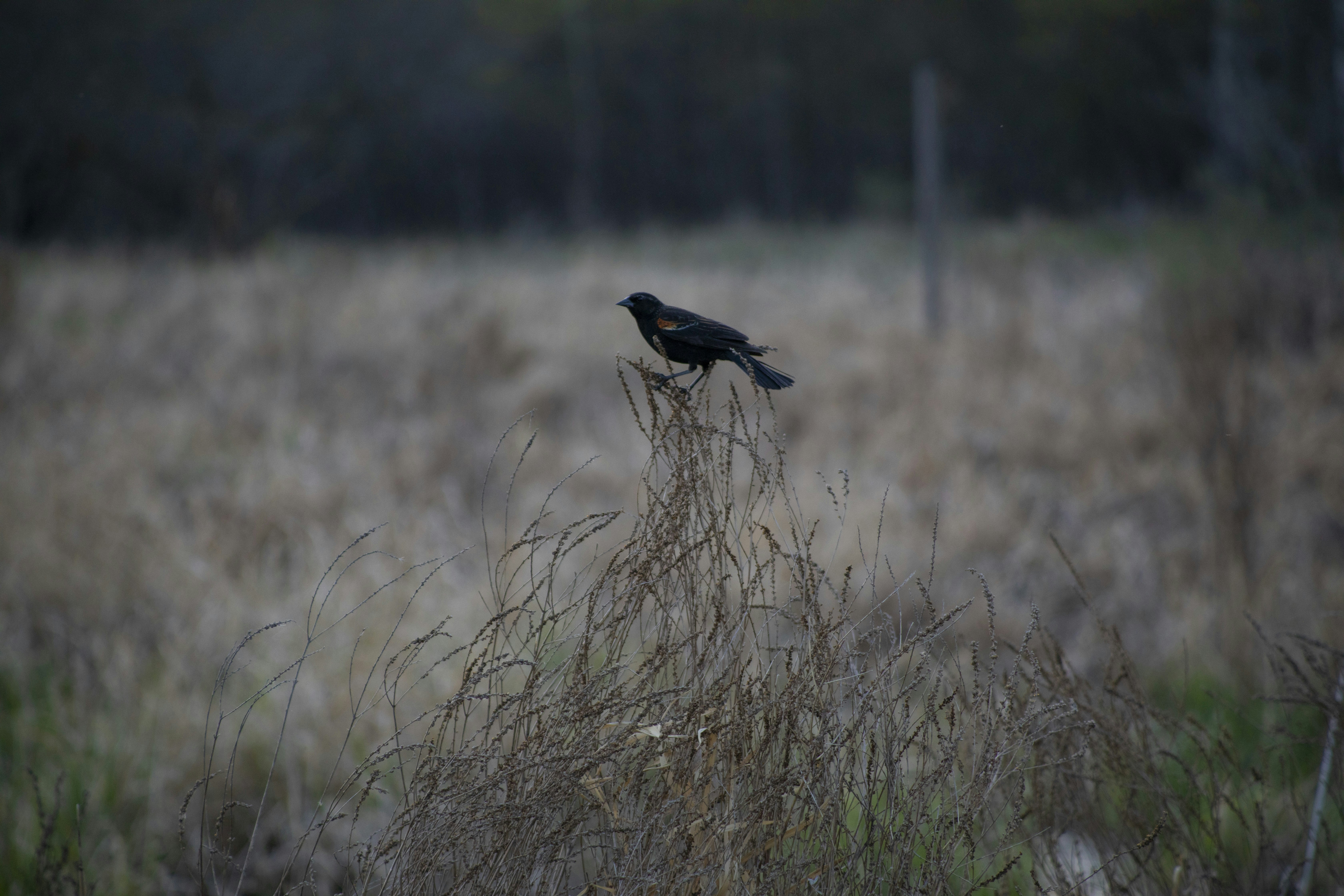 Photo by Kati Hoehl with Canon EOS 5D Mark IV