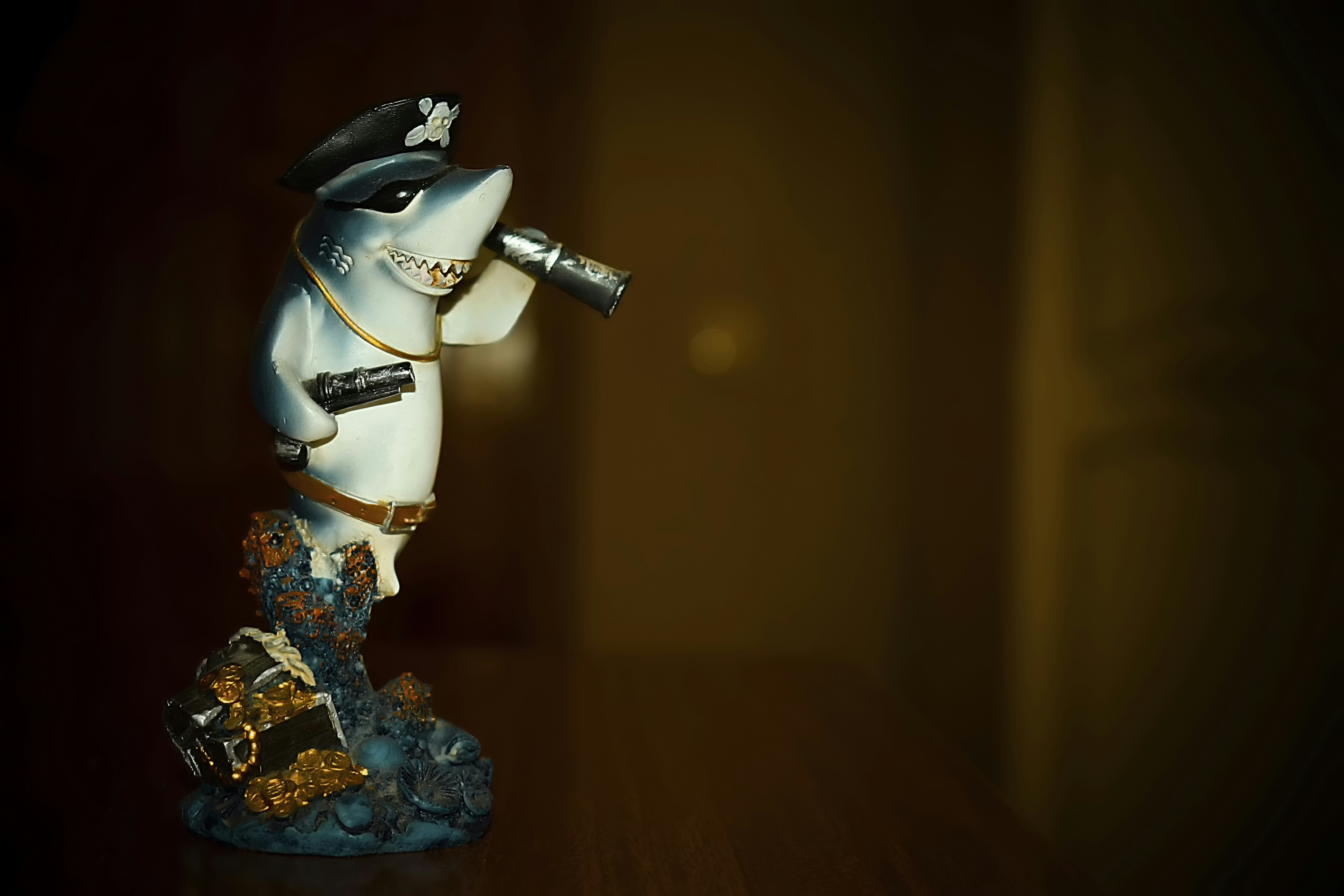 Tiny Buccaneer Shark on a Shadowed Desk