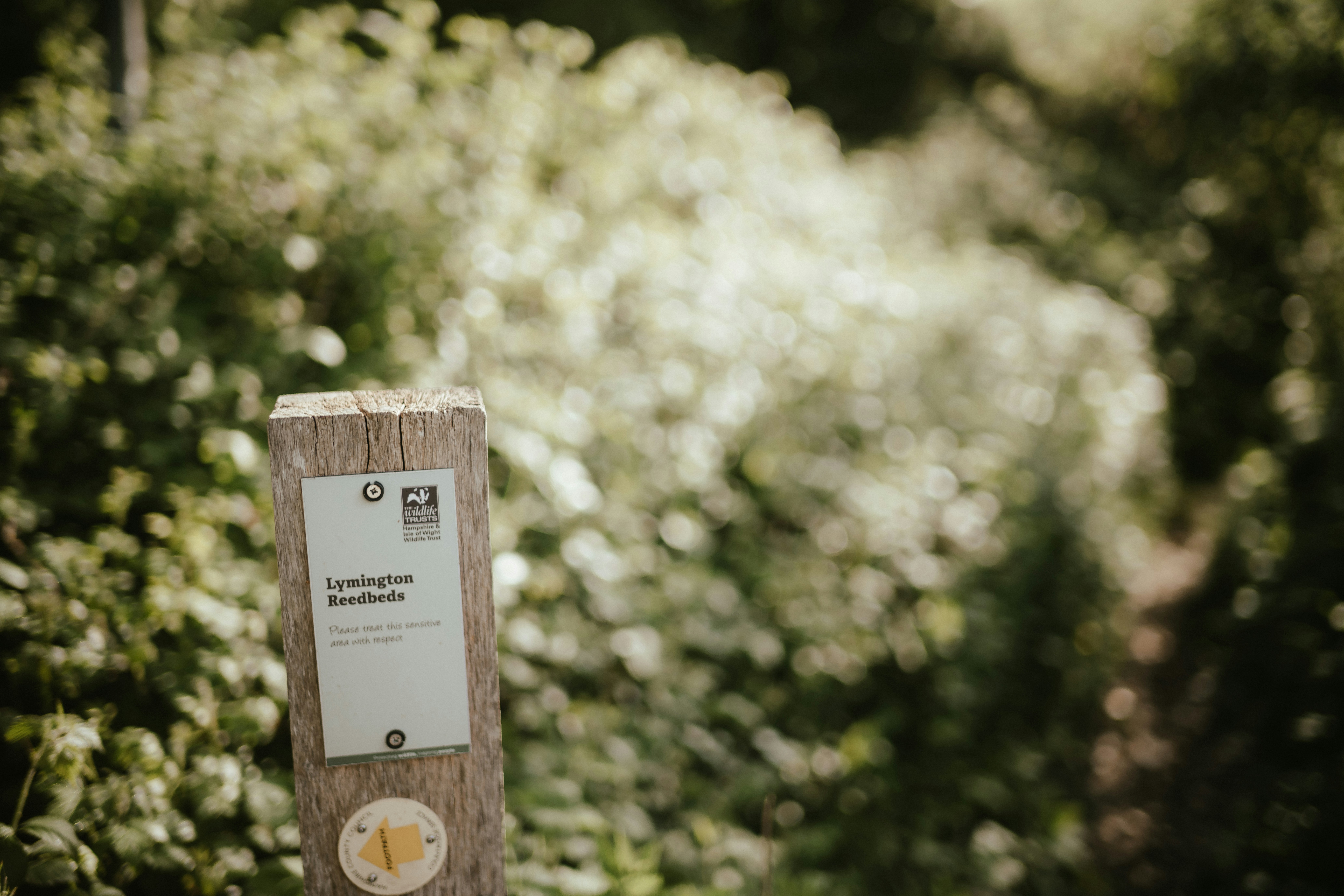 The Dappled Post: A Quiet Garden Sign