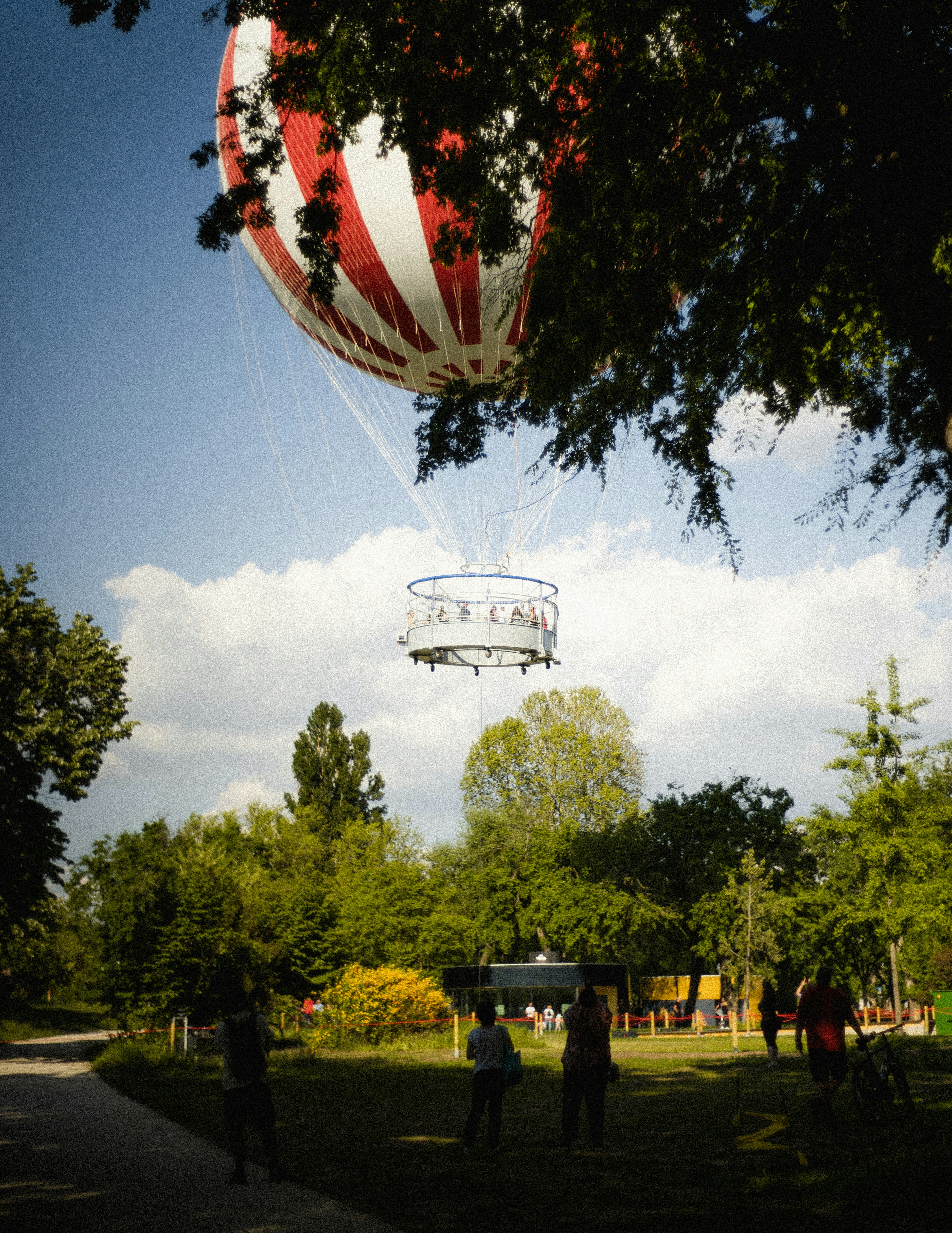 Crimson Basket Adrift Above a Quiet Park