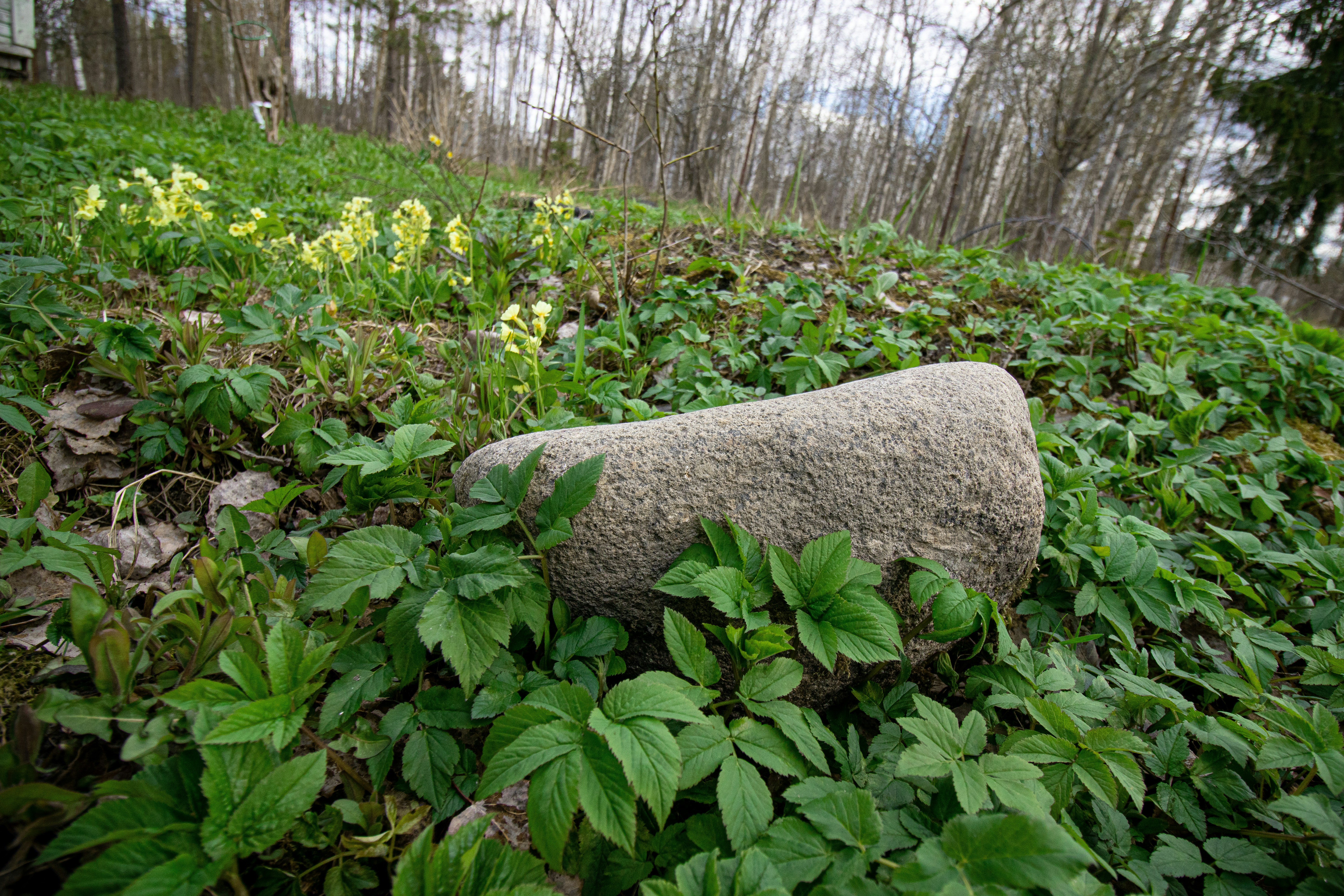 stone