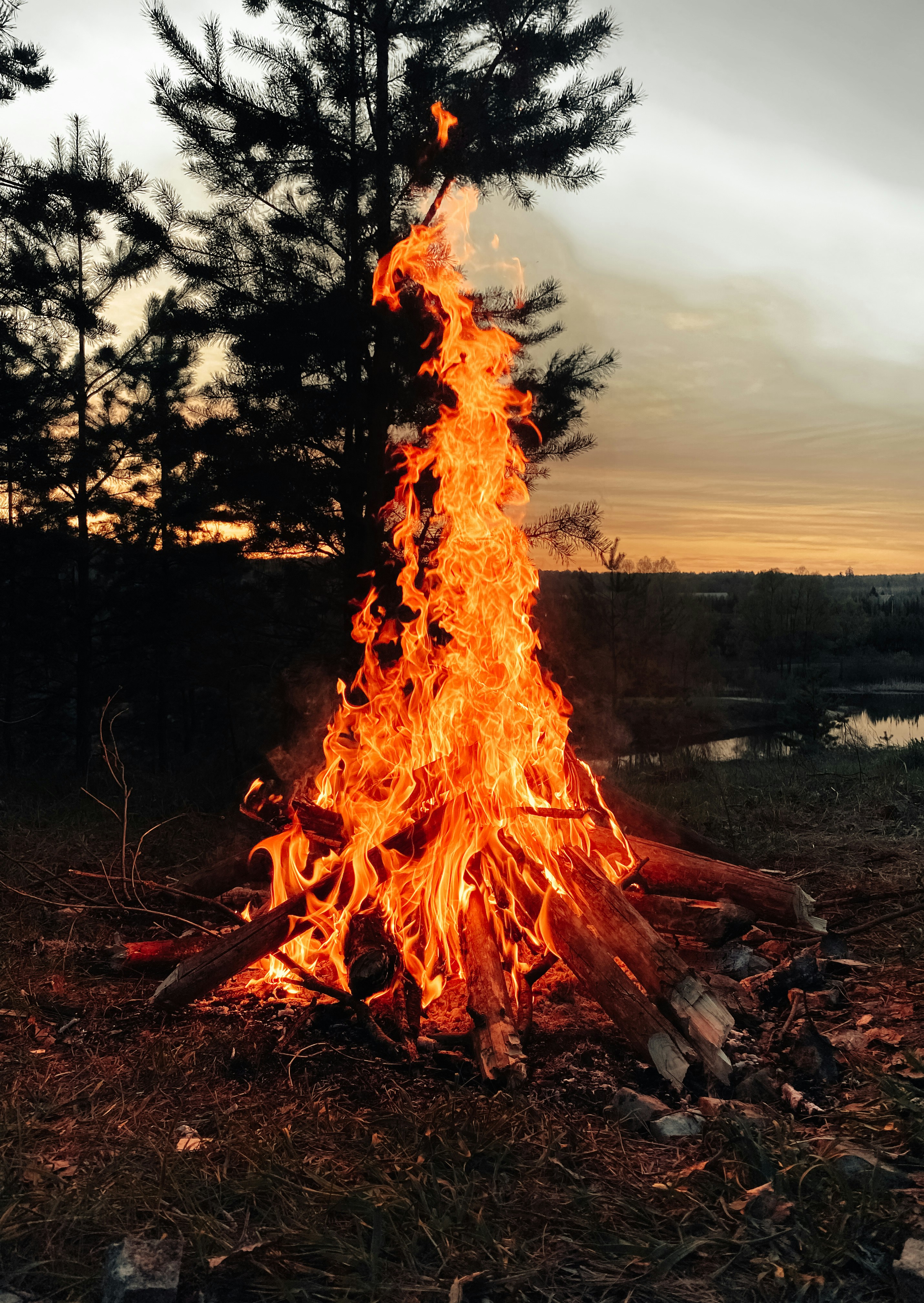 A vibrant campfire blazes against a twilight sky, surrounded by silhouettes of pine trees and a serene landscape. The warm glow reflects on nearby water, creating a tranquil atmosphere.
