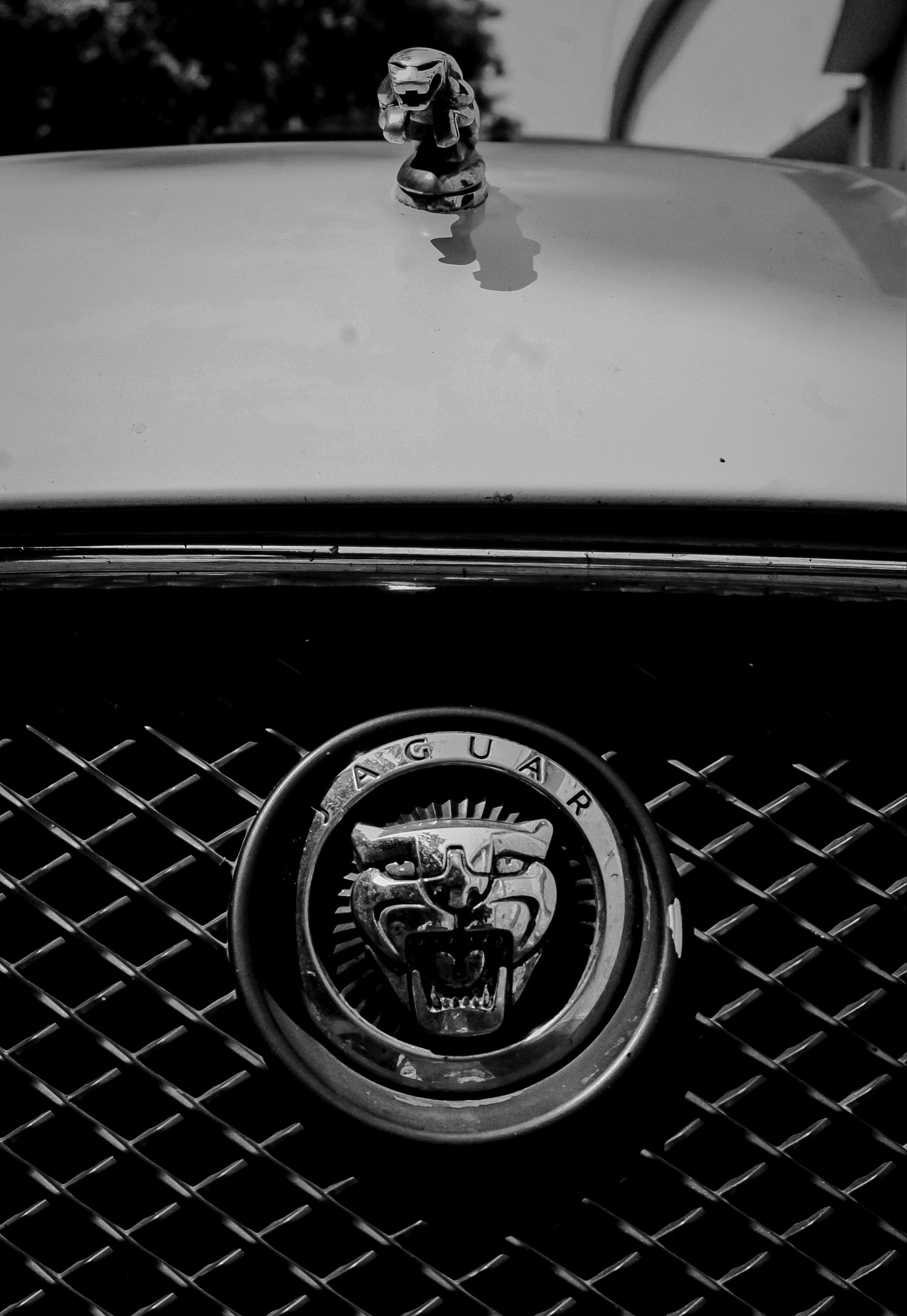 Un gros plan de la calandre d’une voiture photo – Photo Uttarakhand ...