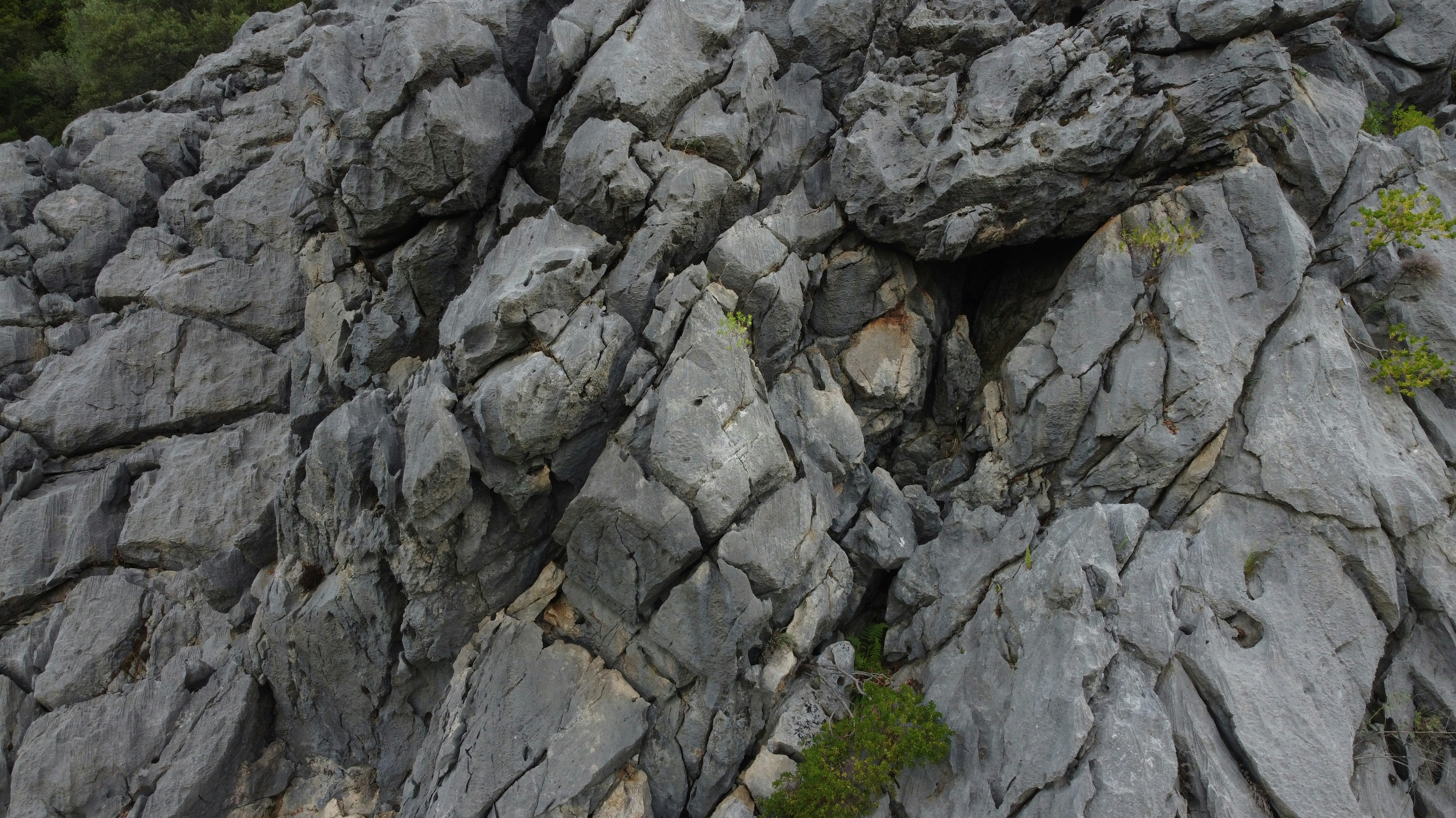 Un gros plan d’une zone rocheuse photo – Photo Dinde Gratuite sur Unsplash