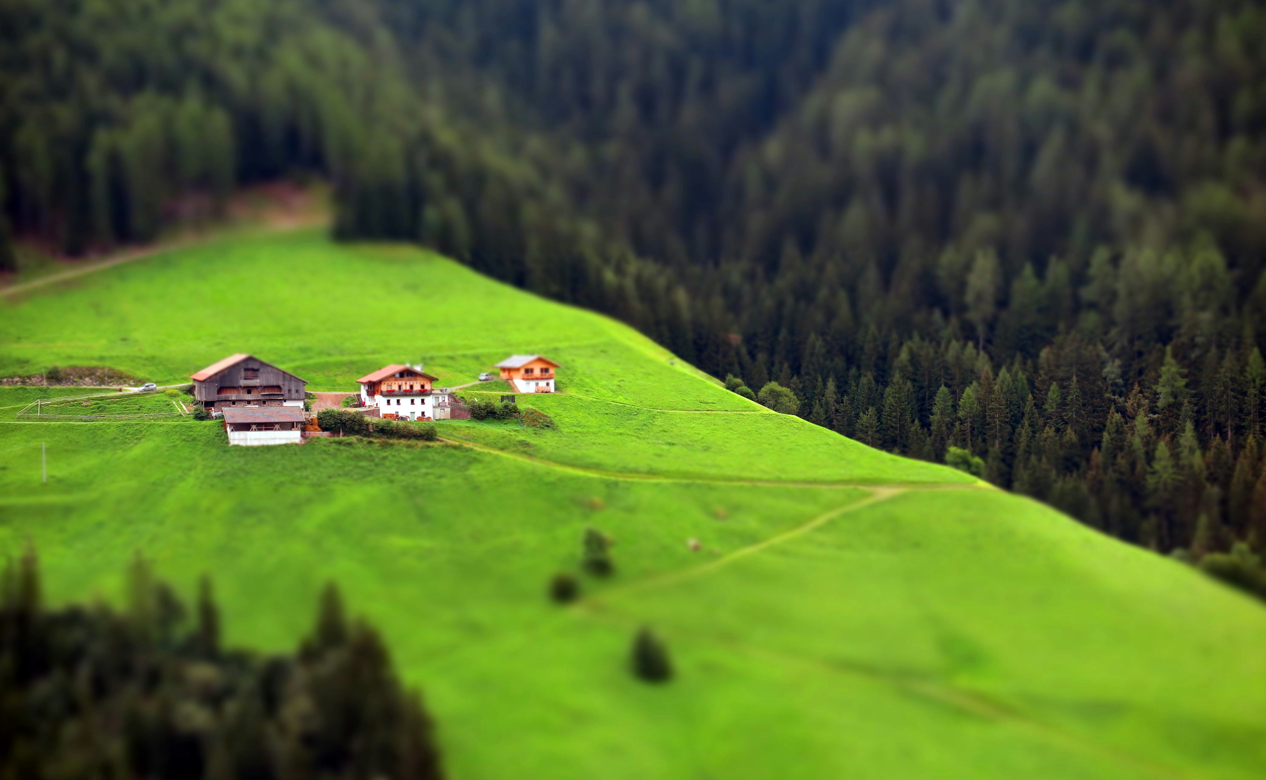 Tilt-shift effect on rural houses nestled in lush green hills surrounded by dense forest.