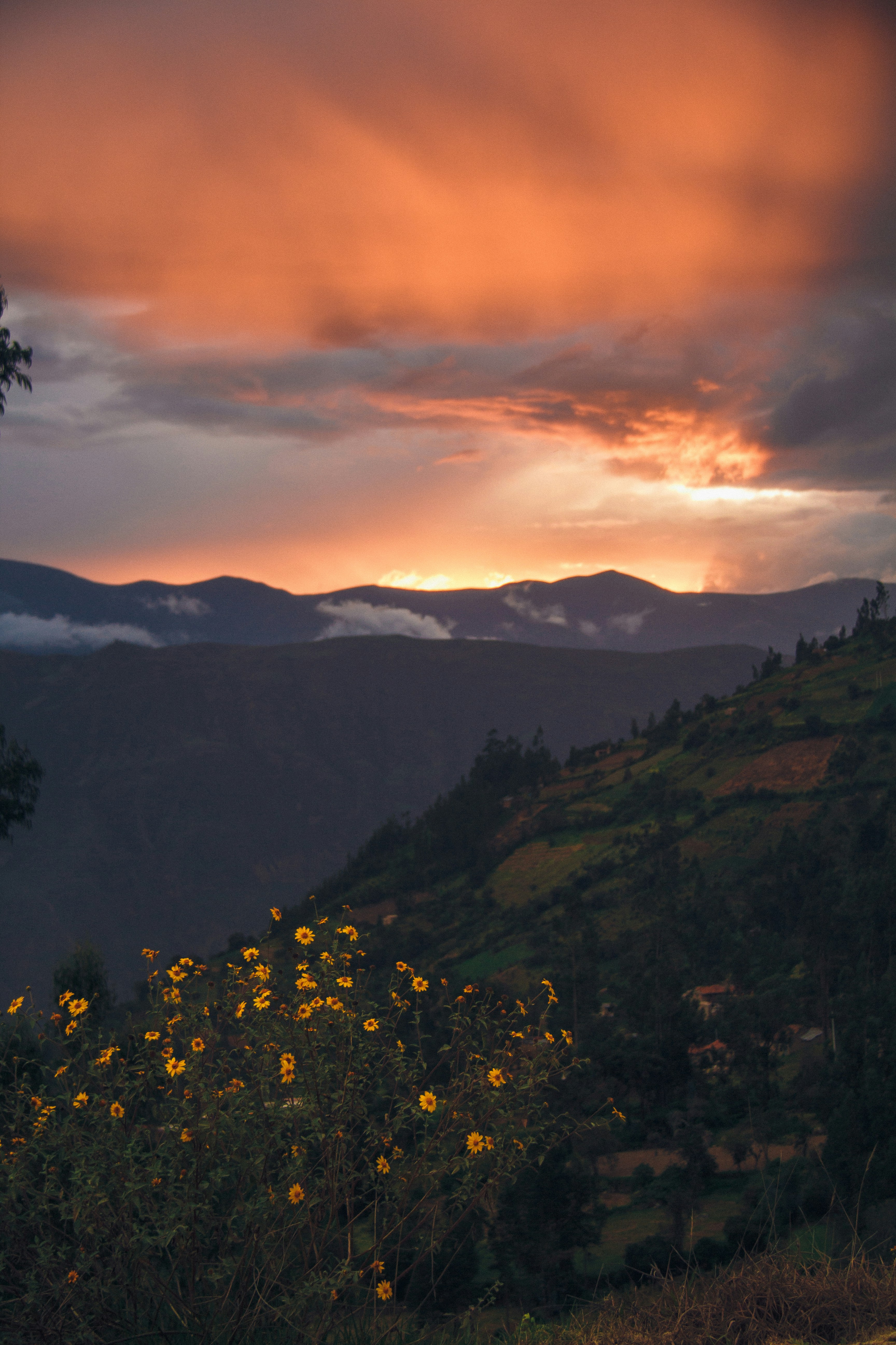 Grassy Hillside Sunset