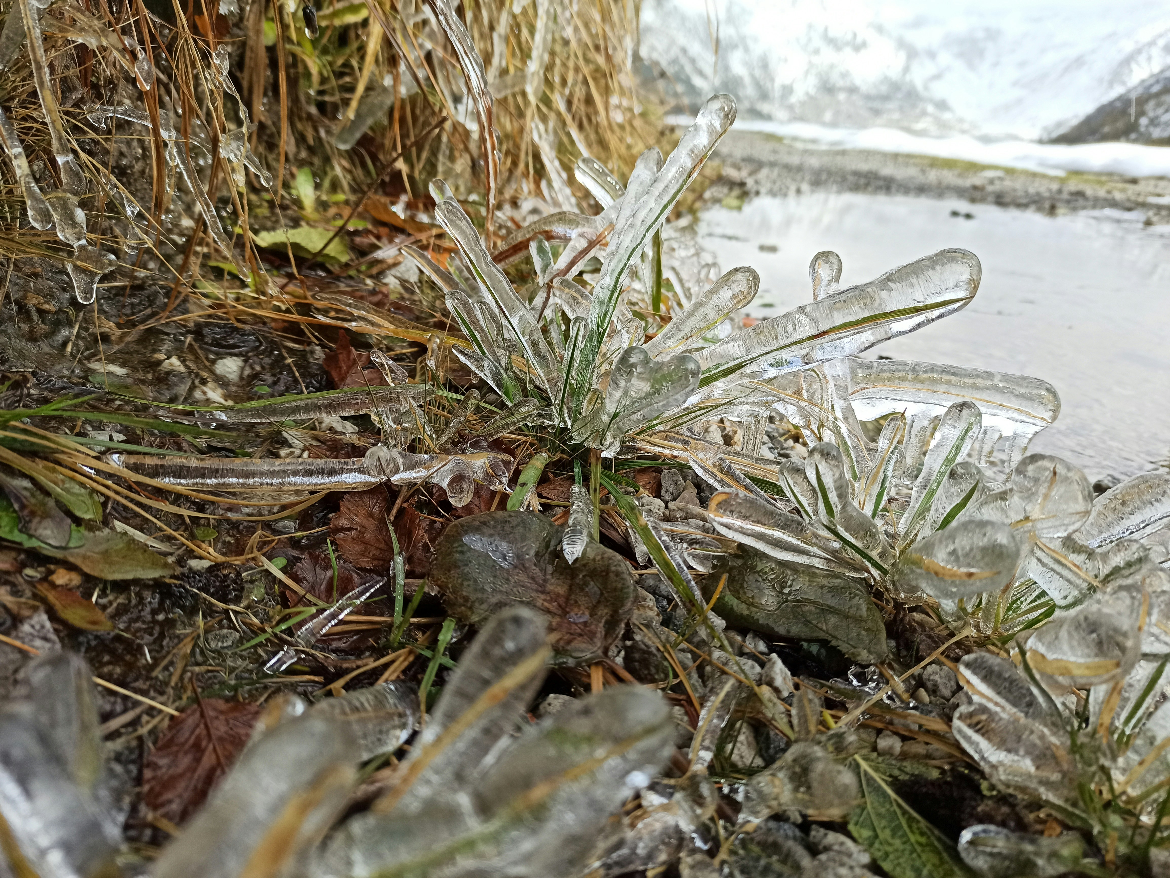 Dr. Peter Molnar (@drmolnarpeter) | Unsplash Photo Community