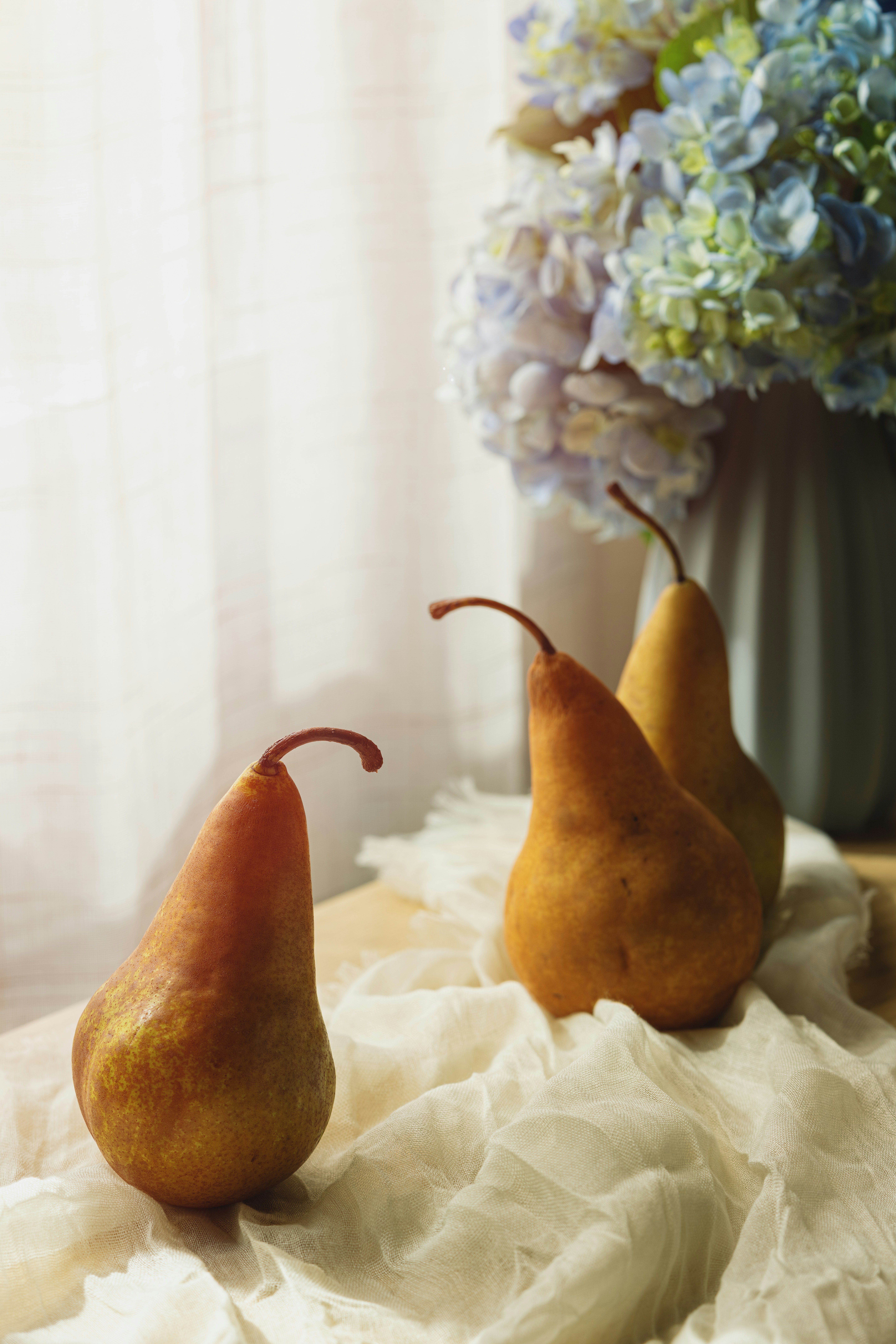 Three Pears in Quiet Light, Blooming Backdrop